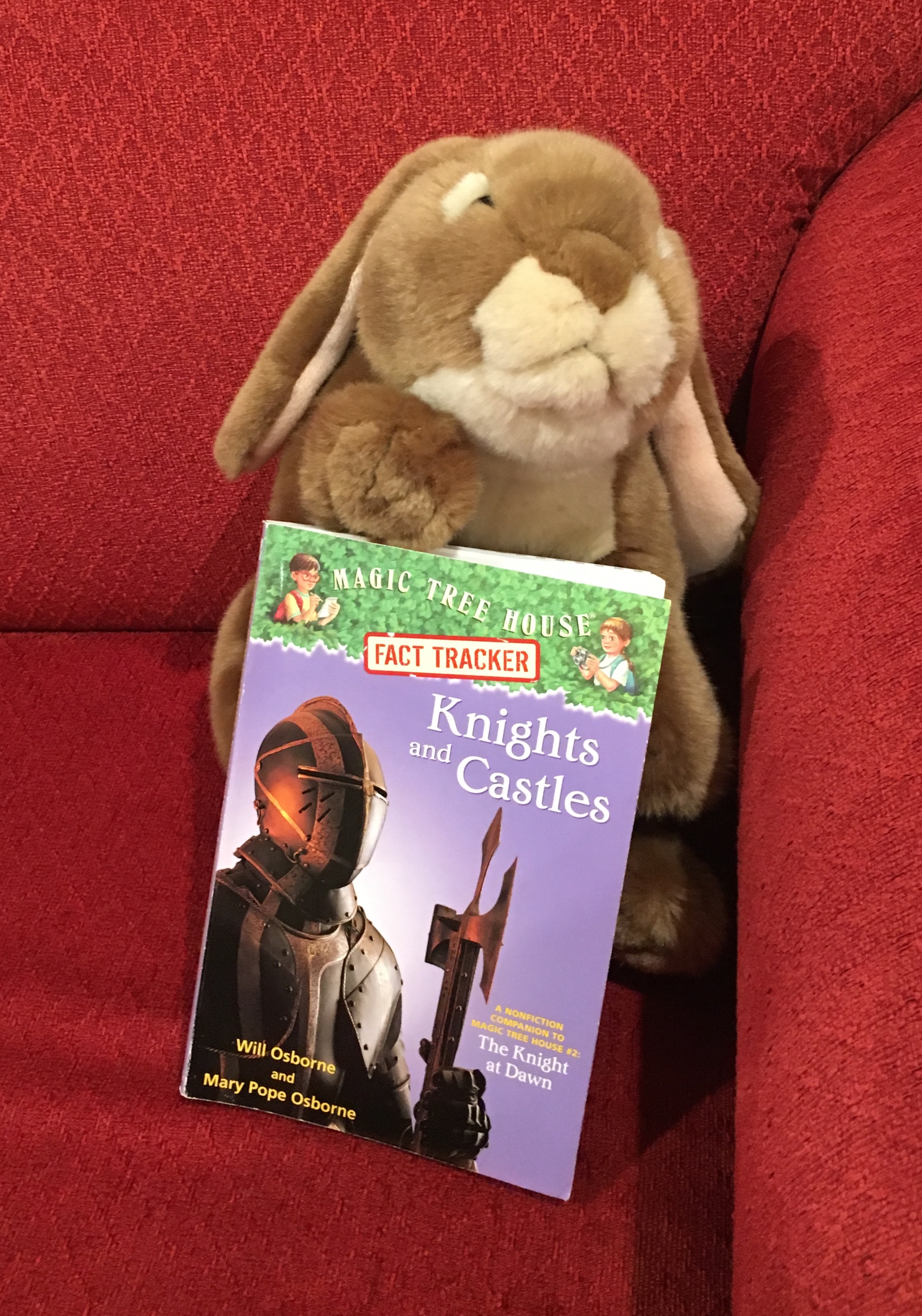 Caramel reviews Knights and Castles (Magic Tree House Fact Tracker #2 ...