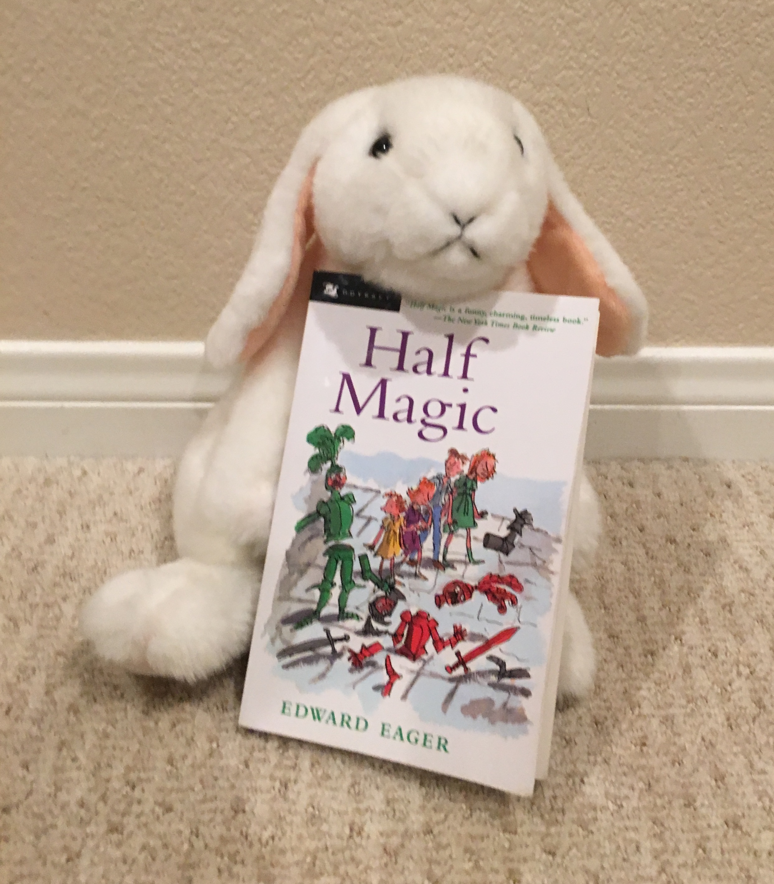 Marshmallow reviews Half Magic by Edward Eager – BookBunnies
