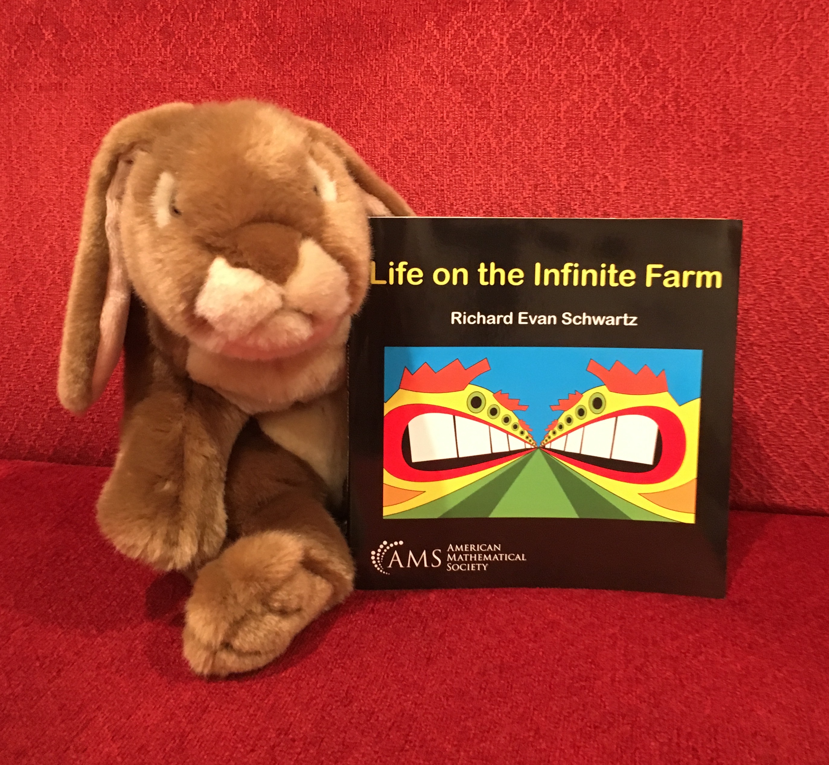 Caramel reviews Life on the Infinite Farm by Richard Evan Schwartz ...