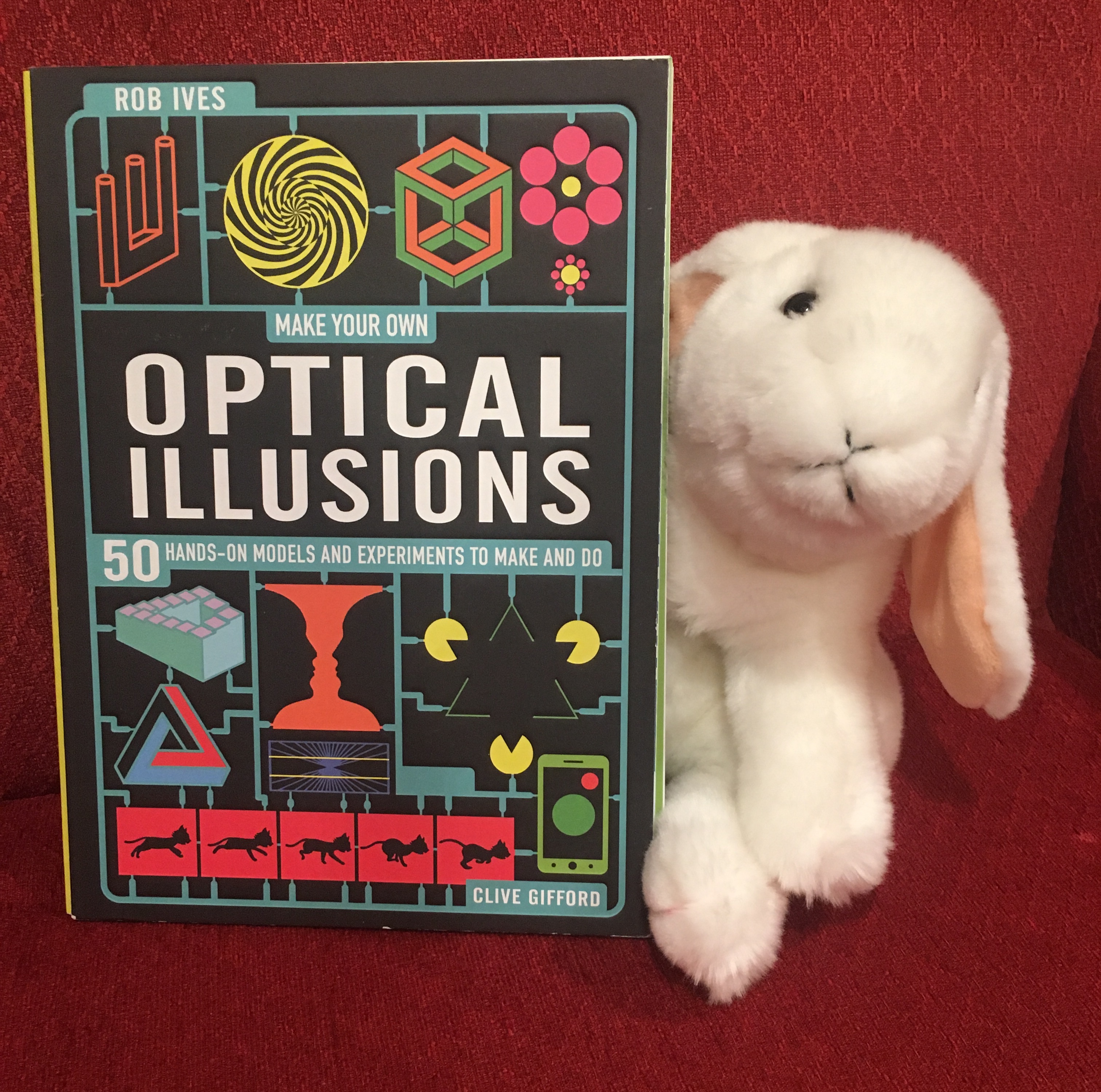 Marshmallow reviews Make Your Own Optical Illusions by Clive Gifford ...