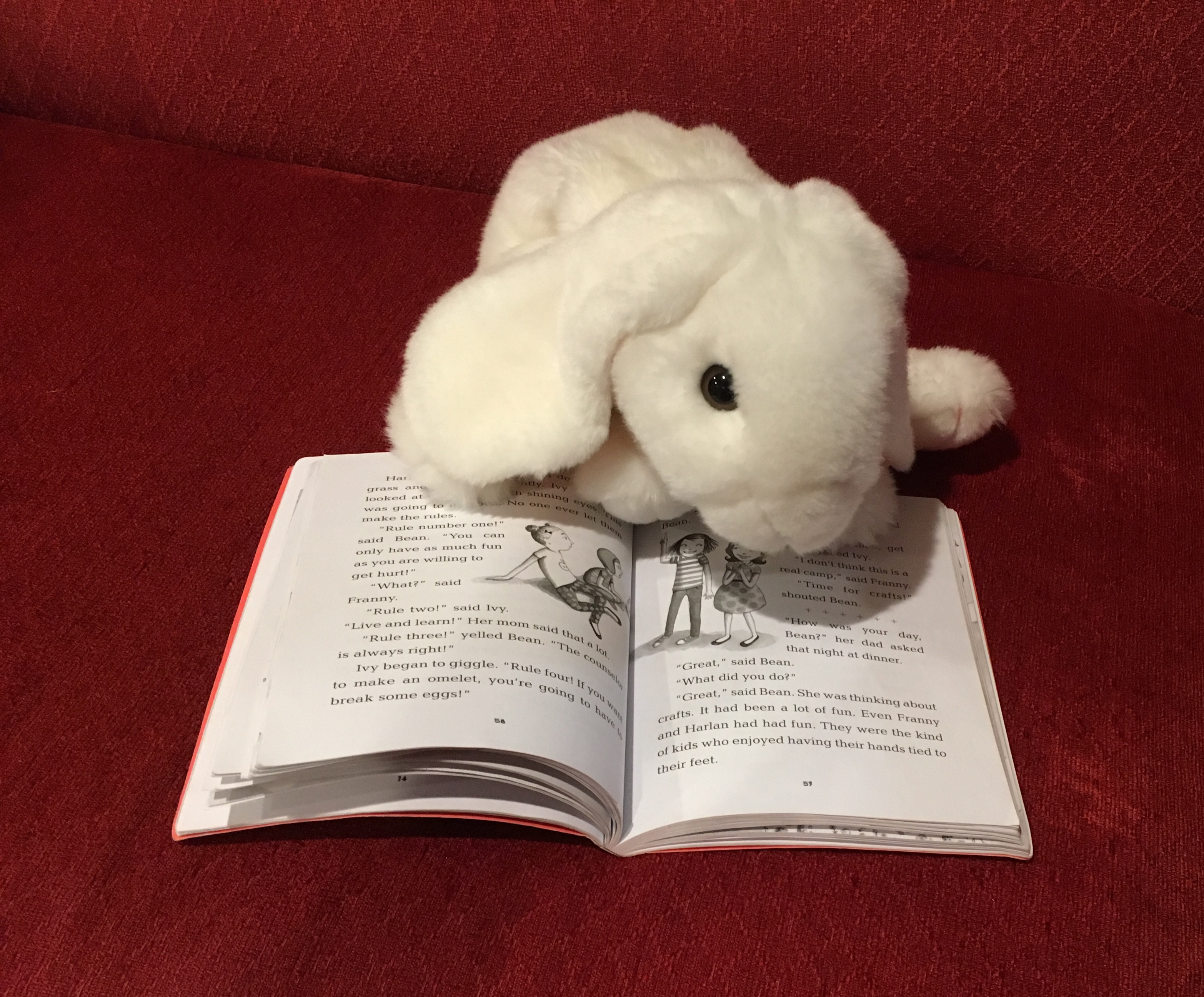 Marshmallow reviews Ivy and Bean Make the Rules by Annie Barrows (Book ...