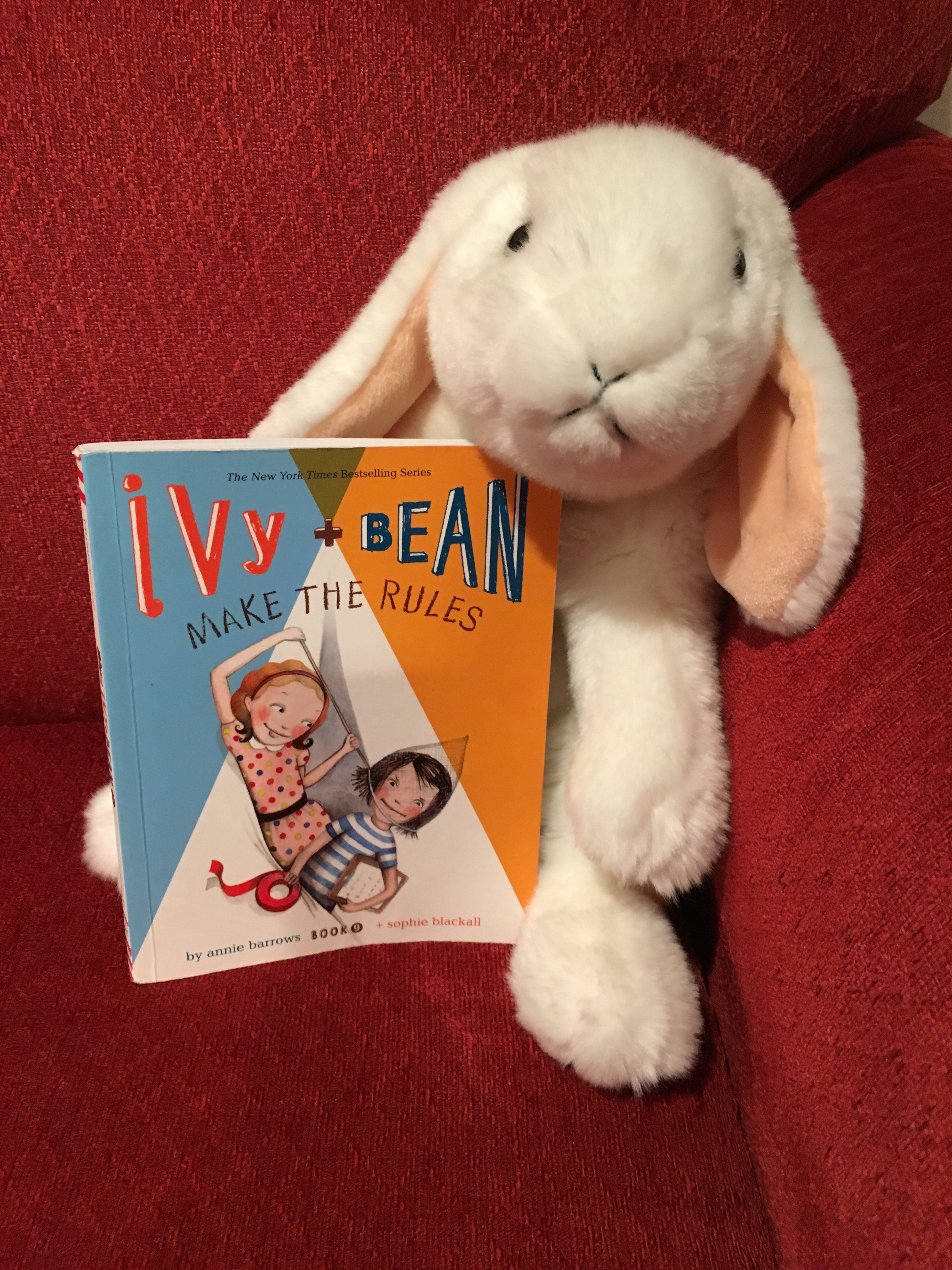 Marshmallow reviews Ivy and Bean Make the Rules by Annie Barrows (Book ...