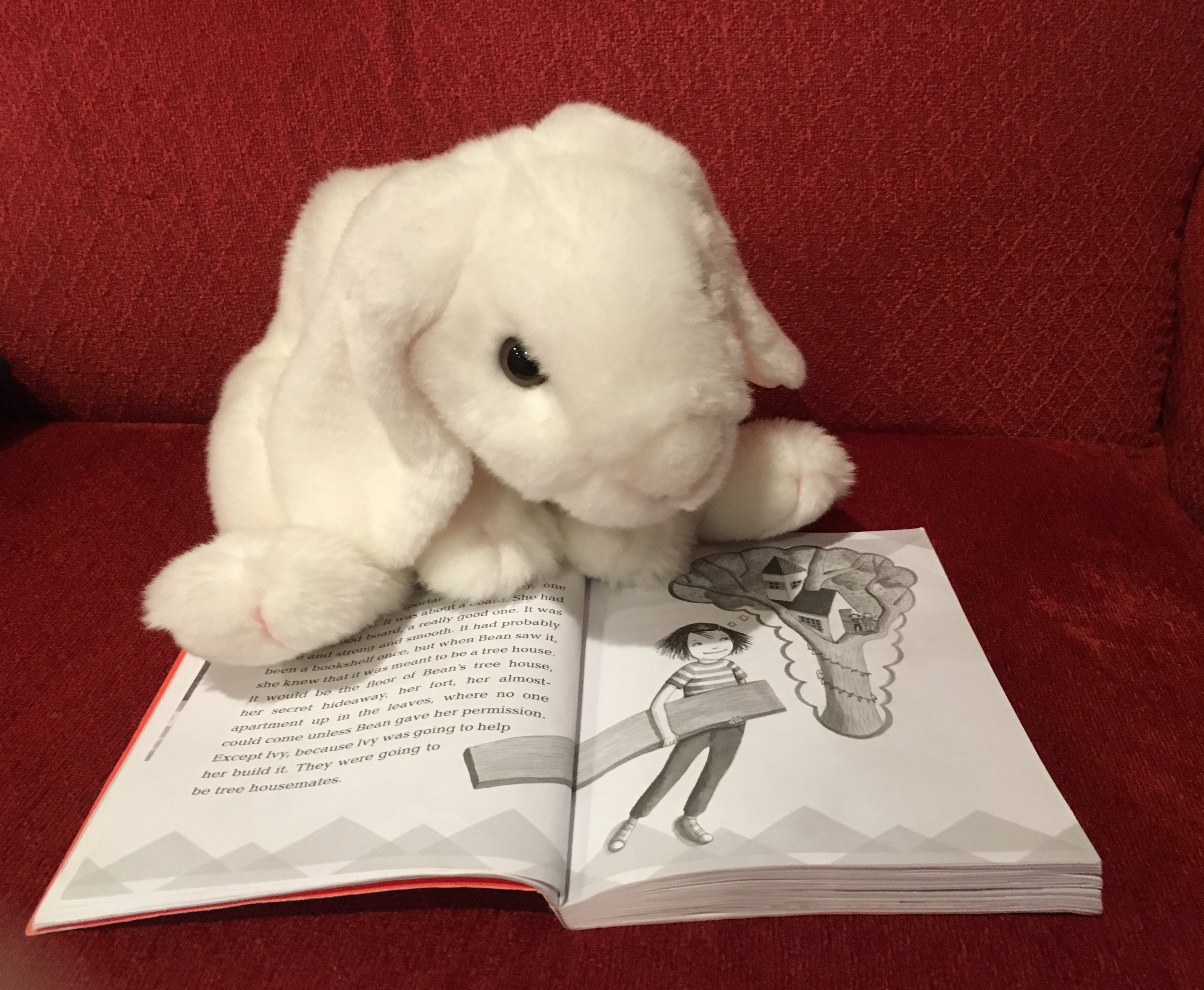 Marshmallow reviews Ivy and Bean Make the Rules by Annie Barrows (Book ...