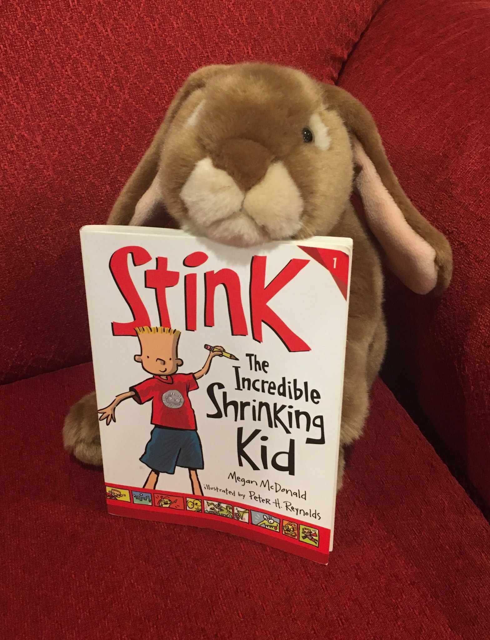 Caramel reviews Stink: The Incredible Shrinking Kid by Megan McDonald ...