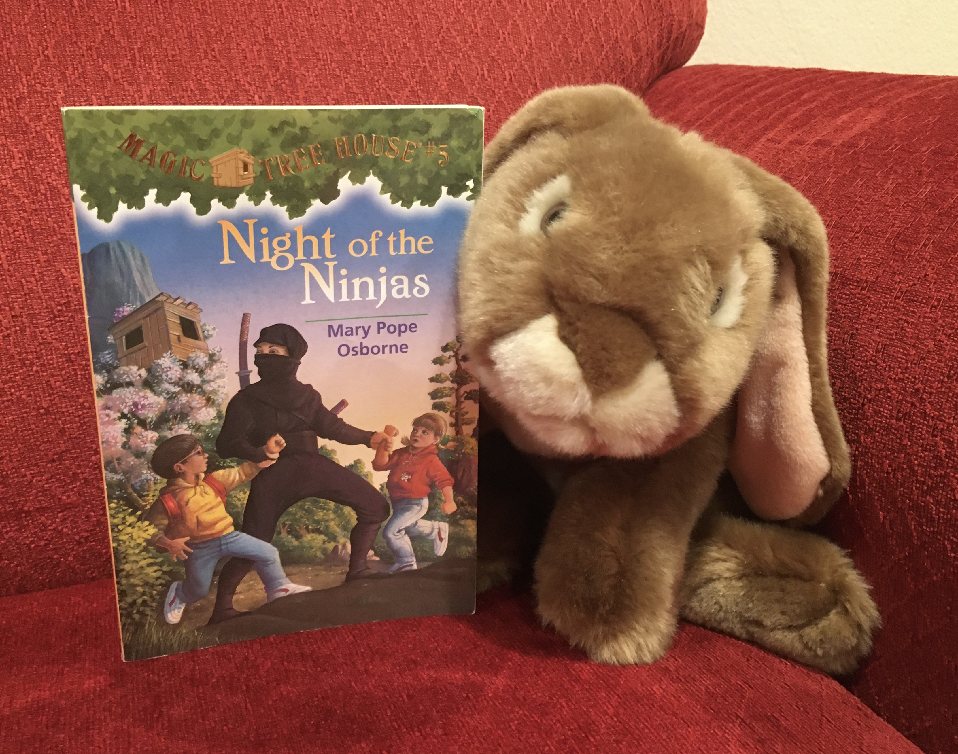 Caramel reviews Night of the Ninjas (Magic Tree House #5) by Mary Pope ...
