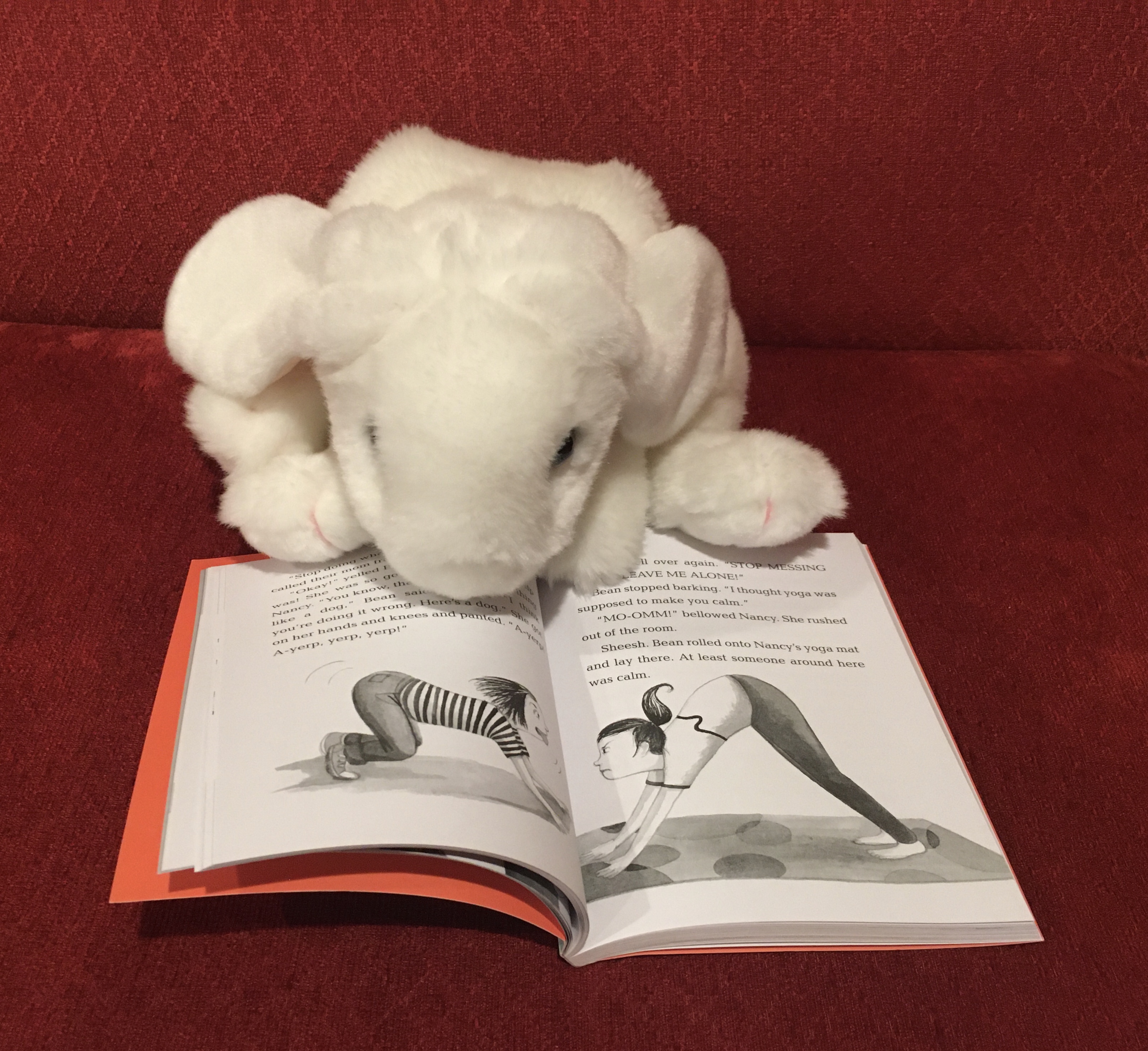 Marshmallow reviews Ivy and Bean: One Big Happy Family by Annie Barrows ...