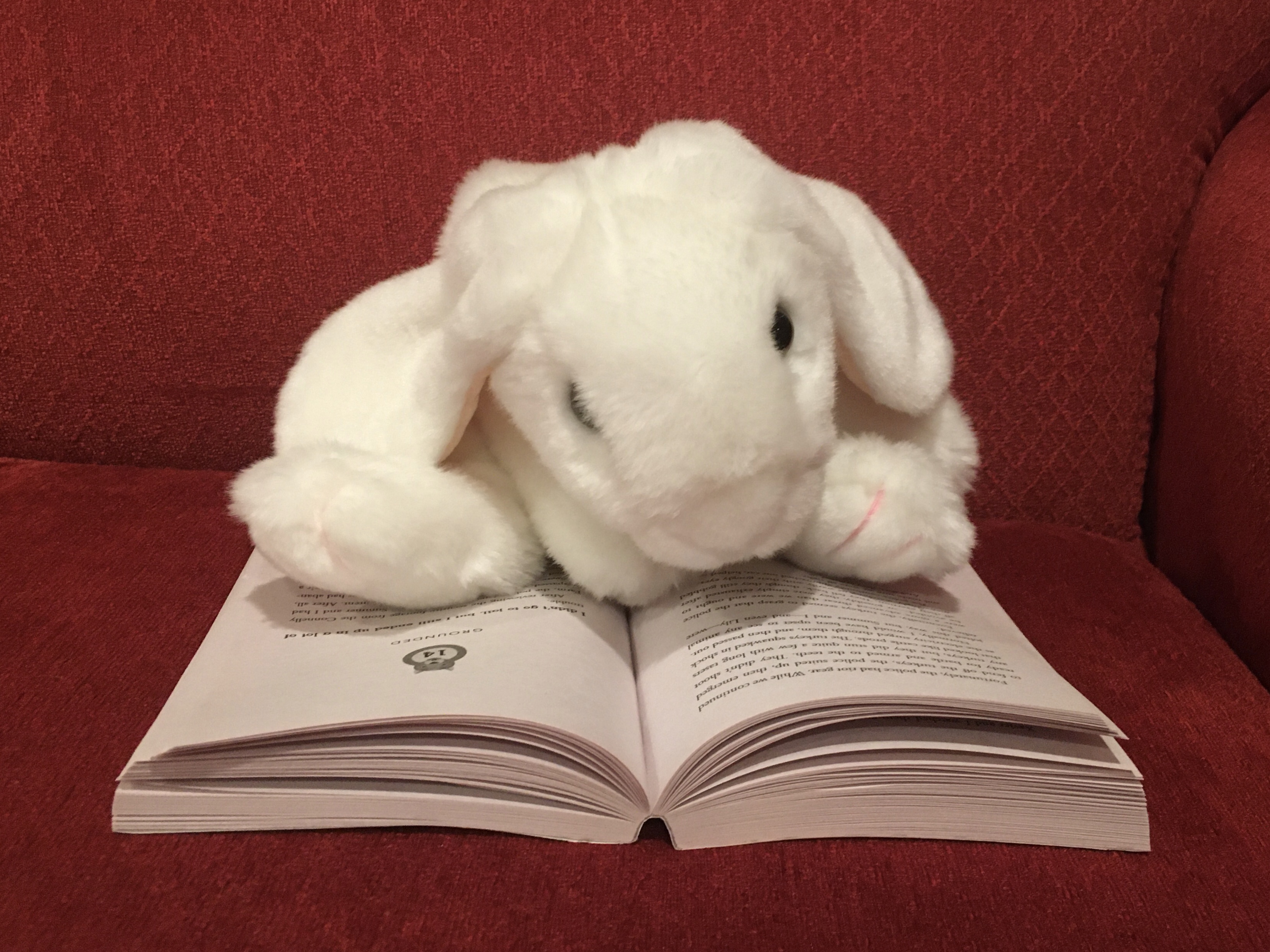 Marshmallow reviews Lion Down by Stuart Gibbs – BookBunnies
