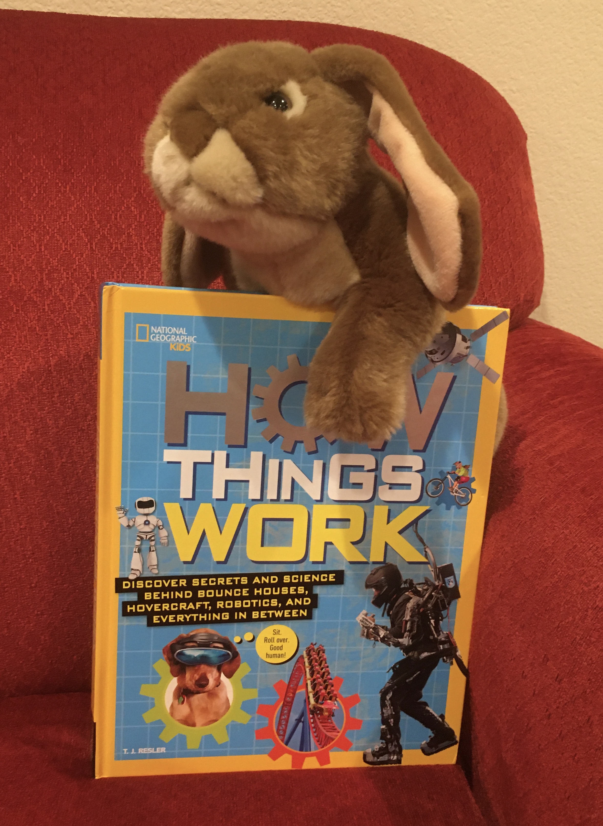 Caramel reviews How Things Work by T. J. Resler – BookBunnies