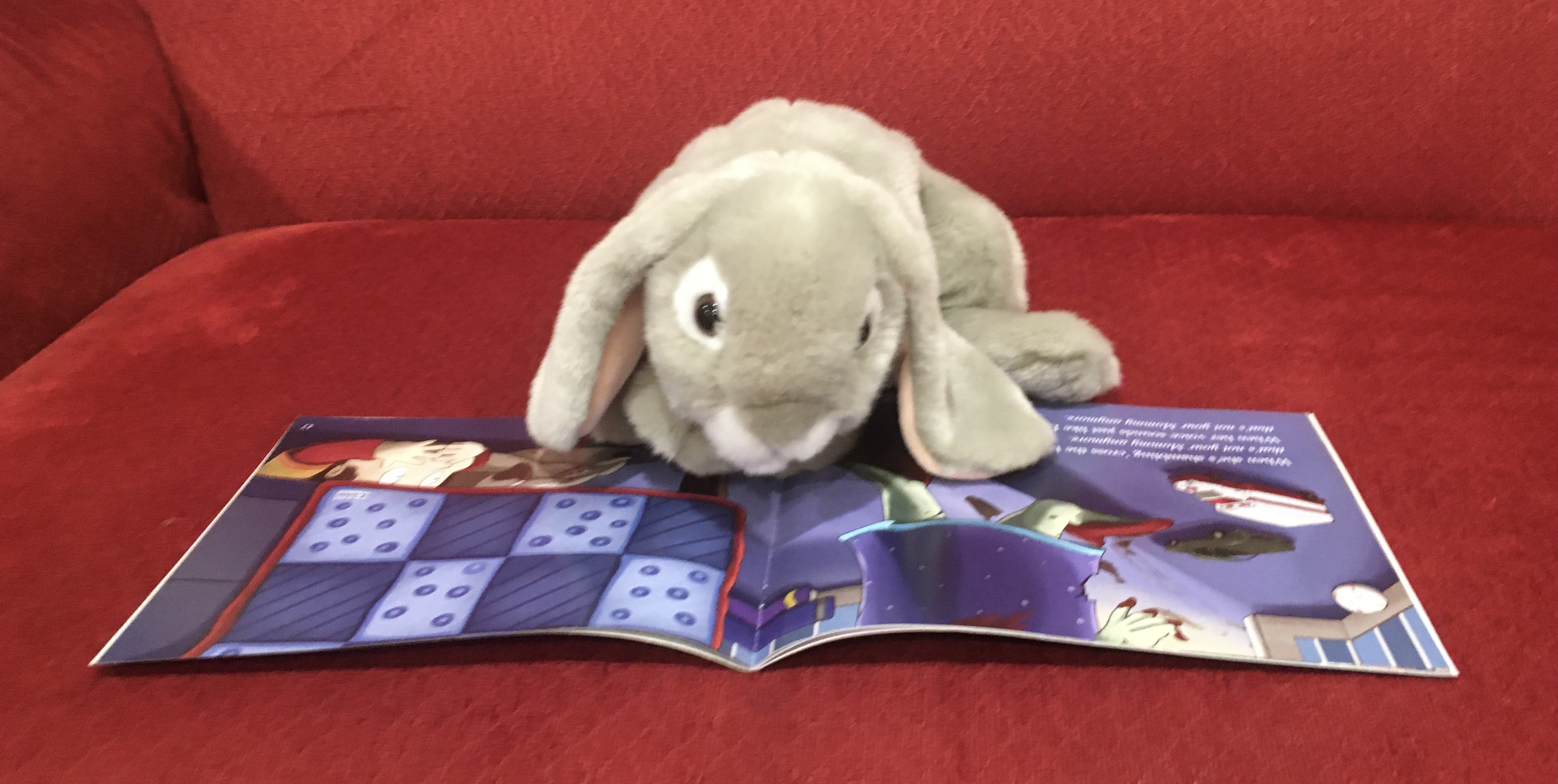 Sprinkles reviews children’s books about zombies – BookBunnies