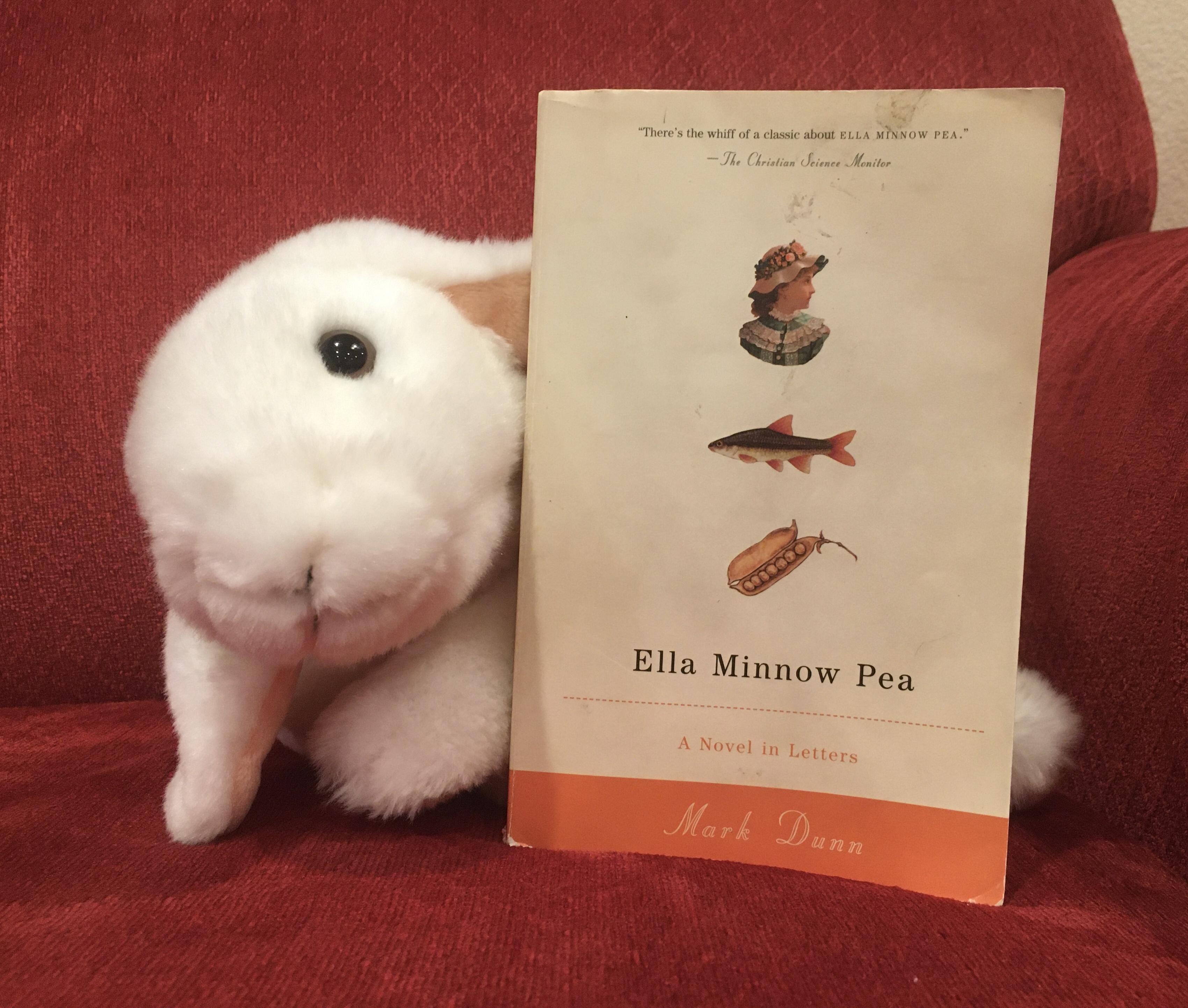 Marshmallow reviews Ella Minnow Pea by Mark Dunn – BookBunnies