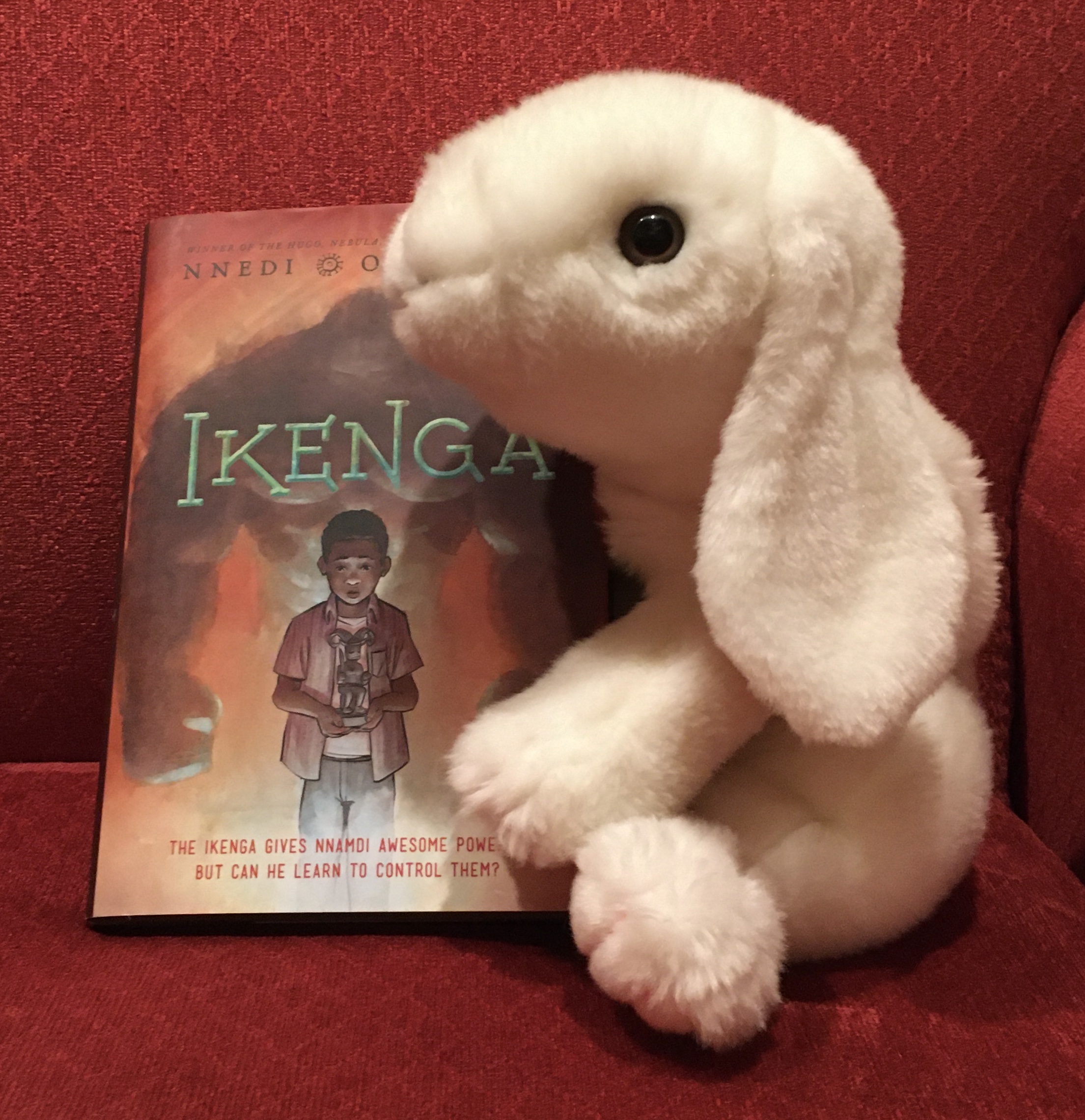 Marshmallow reviews Ikenga by Nnedi Okorafor – BookBunnies