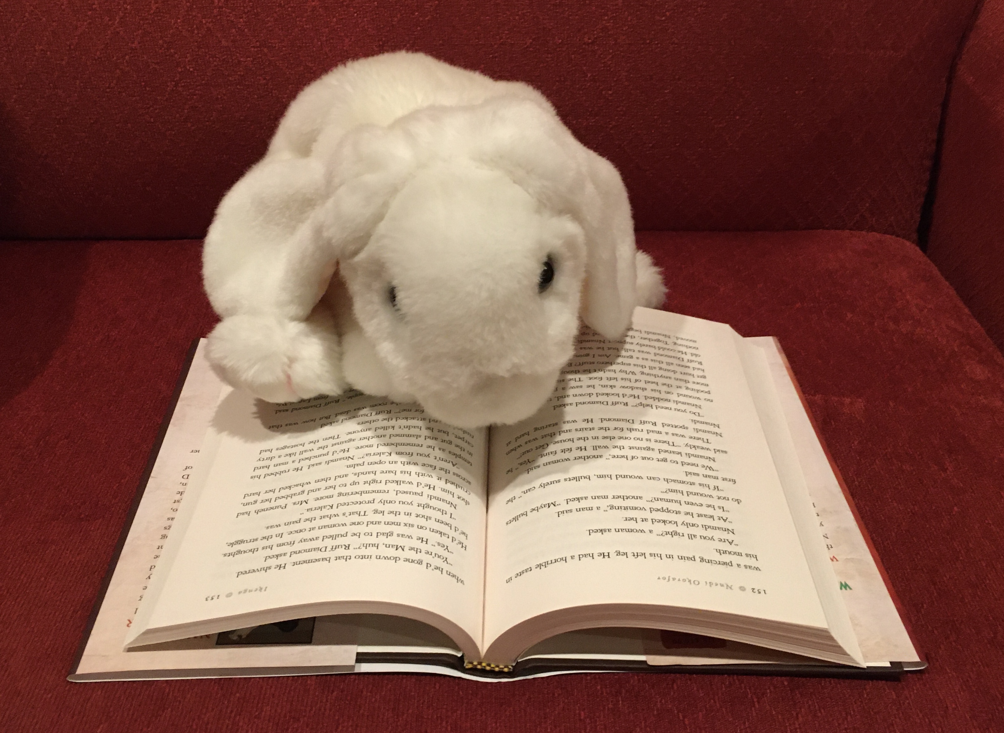 Marshmallow reviews Ikenga by Nnedi Okorafor – BookBunnies