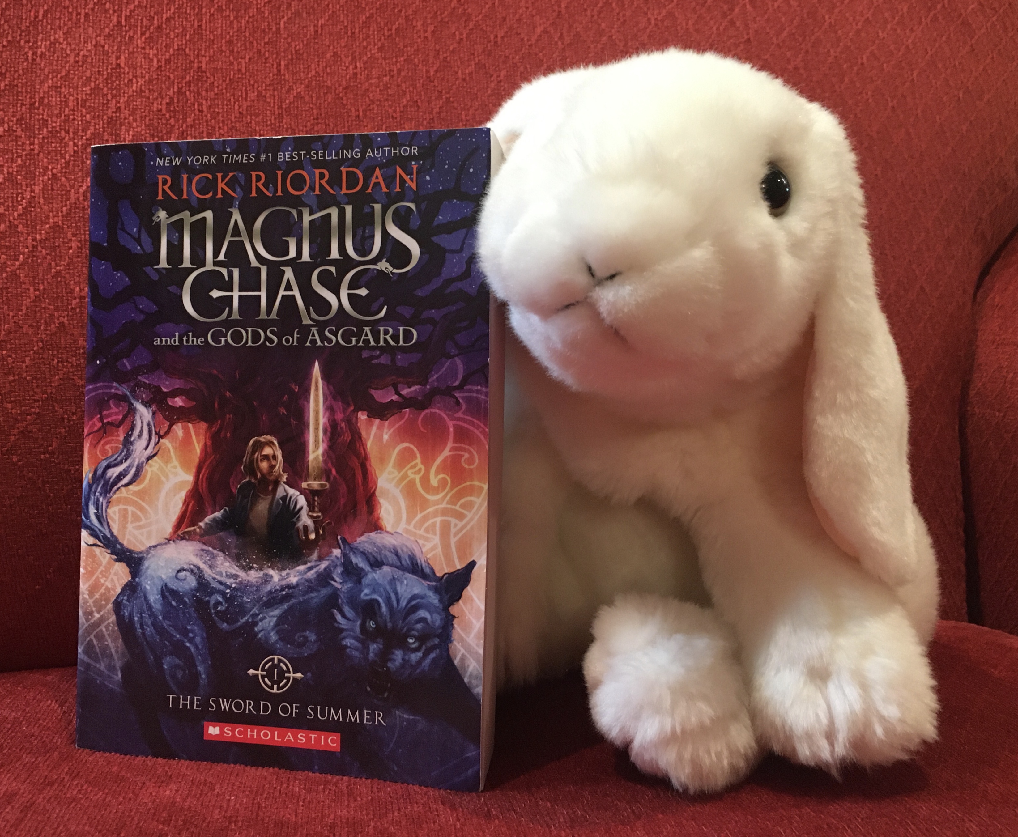 Percy Jackson Book Set Magnus Chase And The Gods Of Asgard, Book 1 The ...