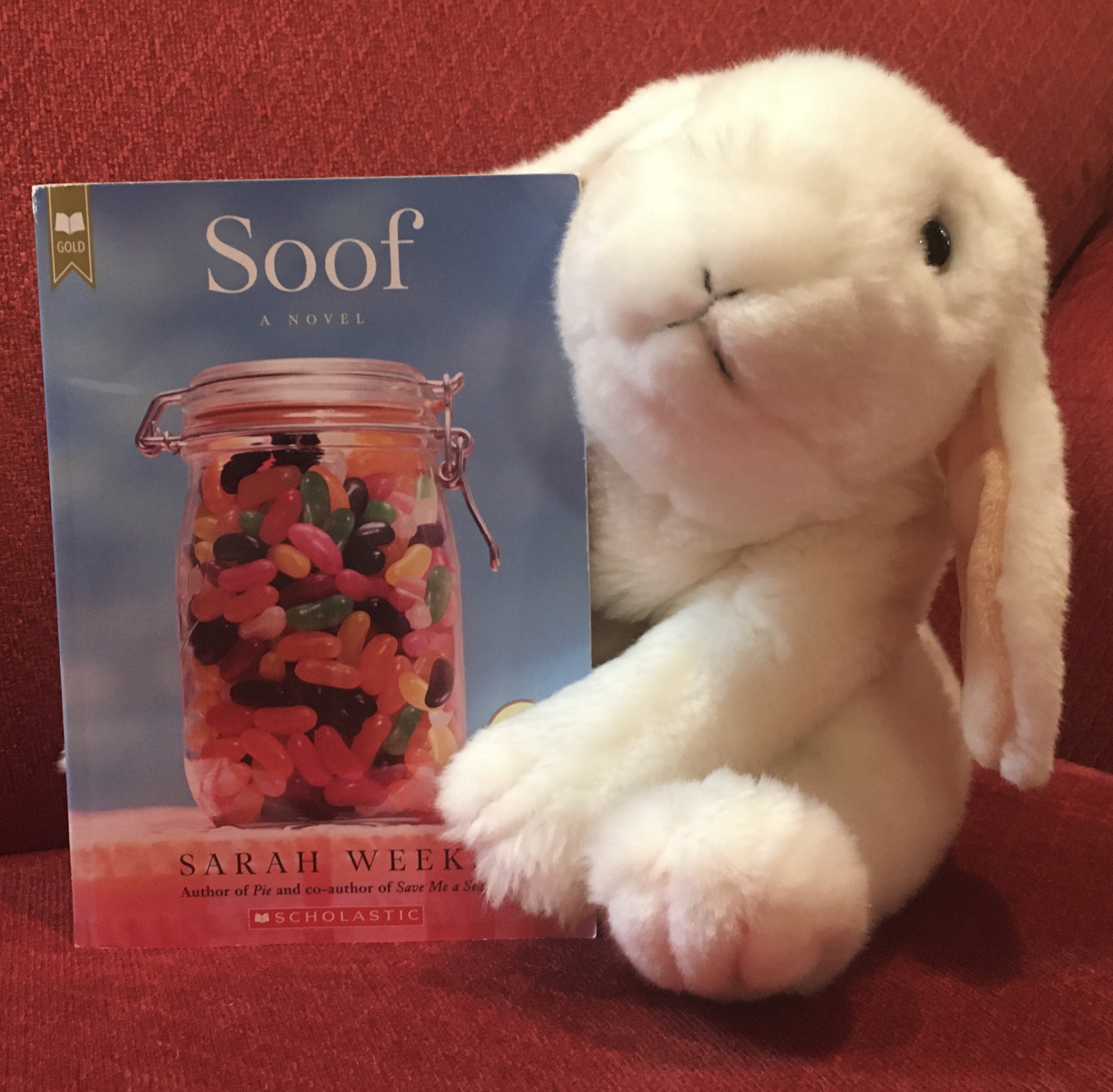 Marshmallow reviews Soof by Sarah Weeks – BookBunnies