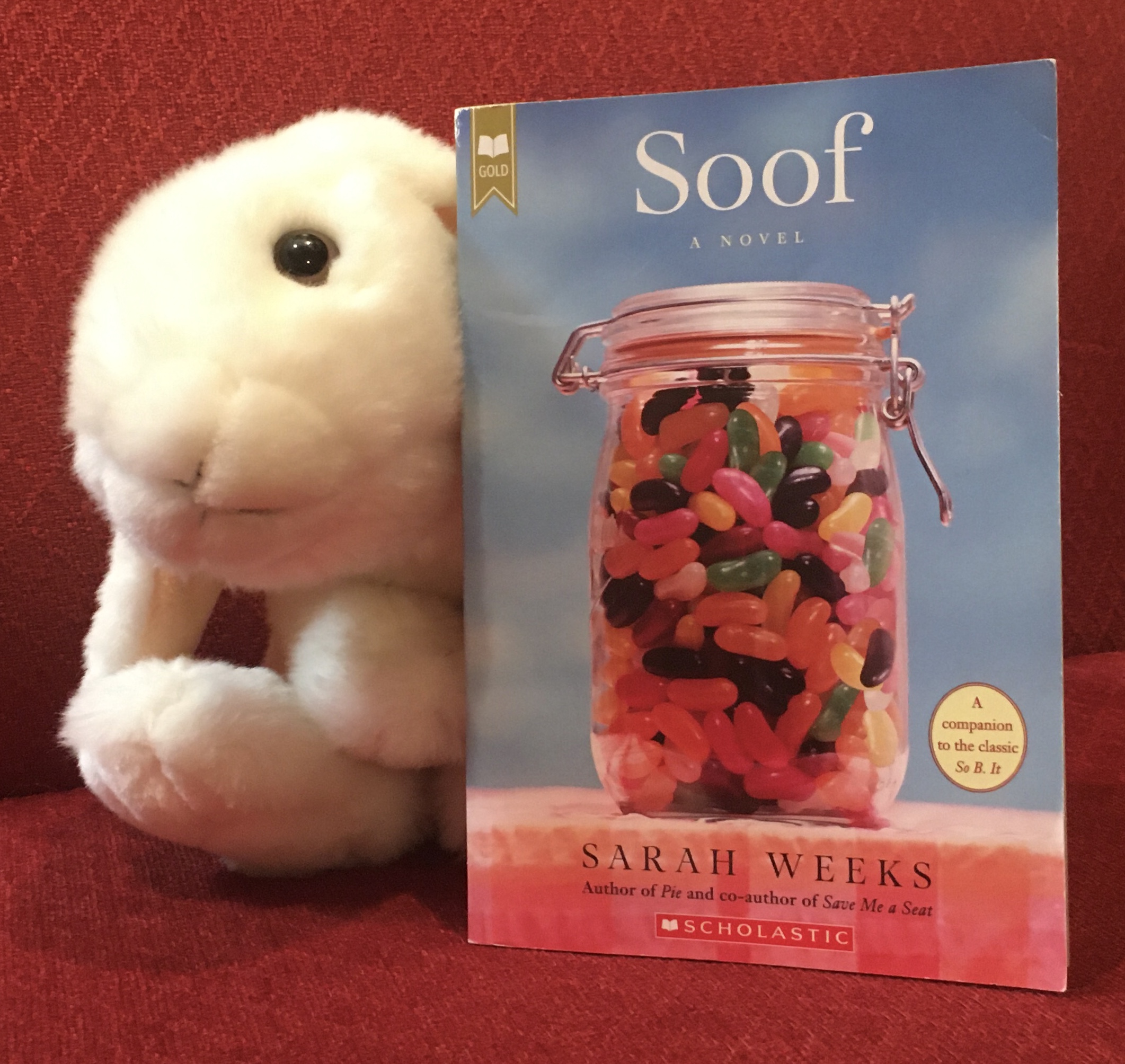 Marshmallow reviews Soof by Sarah Weeks – BookBunnies