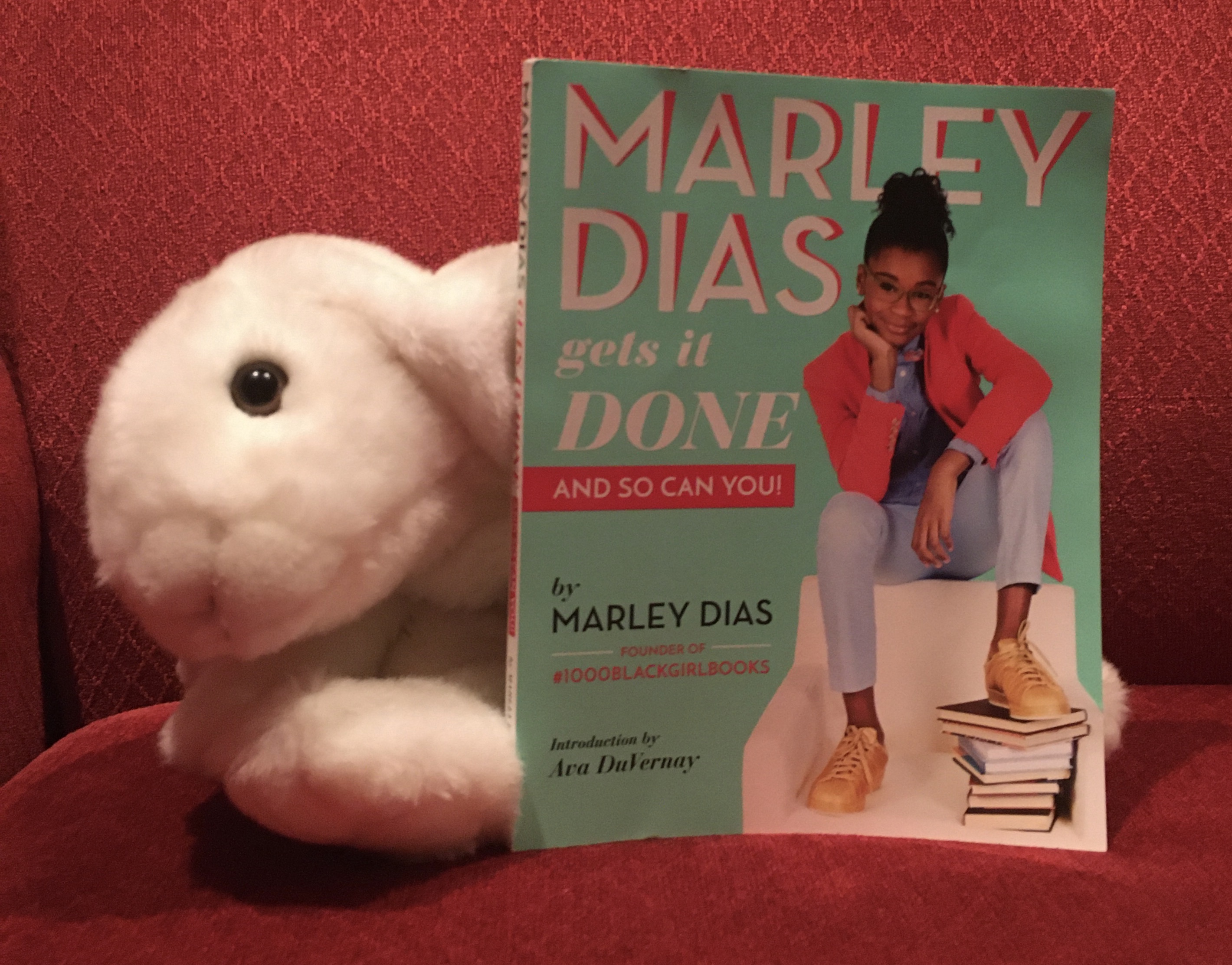 Marshmallow reviews Marley Dias Gets It Done And So Can You! by Marley ...