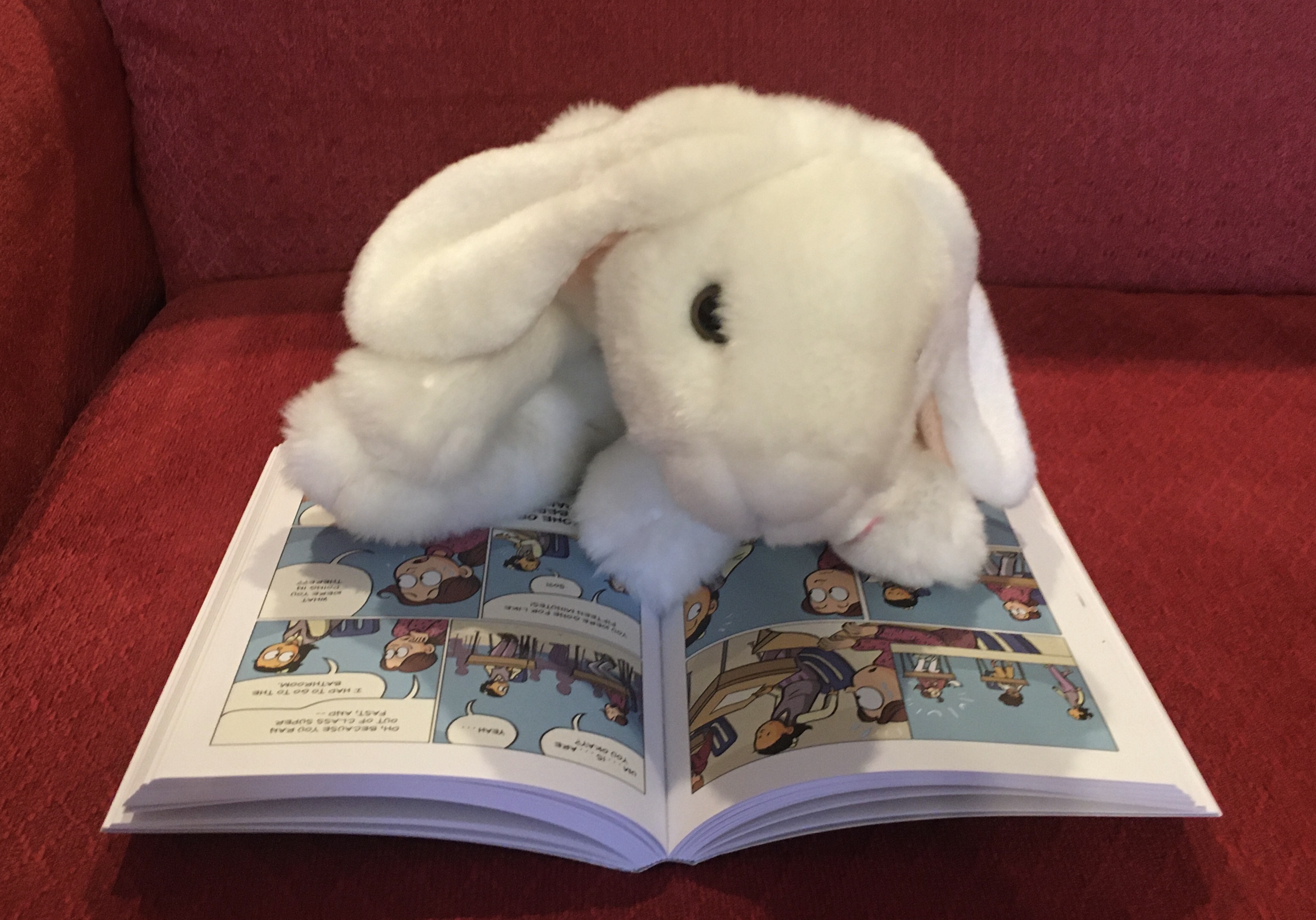 Marshmallow reviews Guts by Raina Telgemeier – BookBunnies
