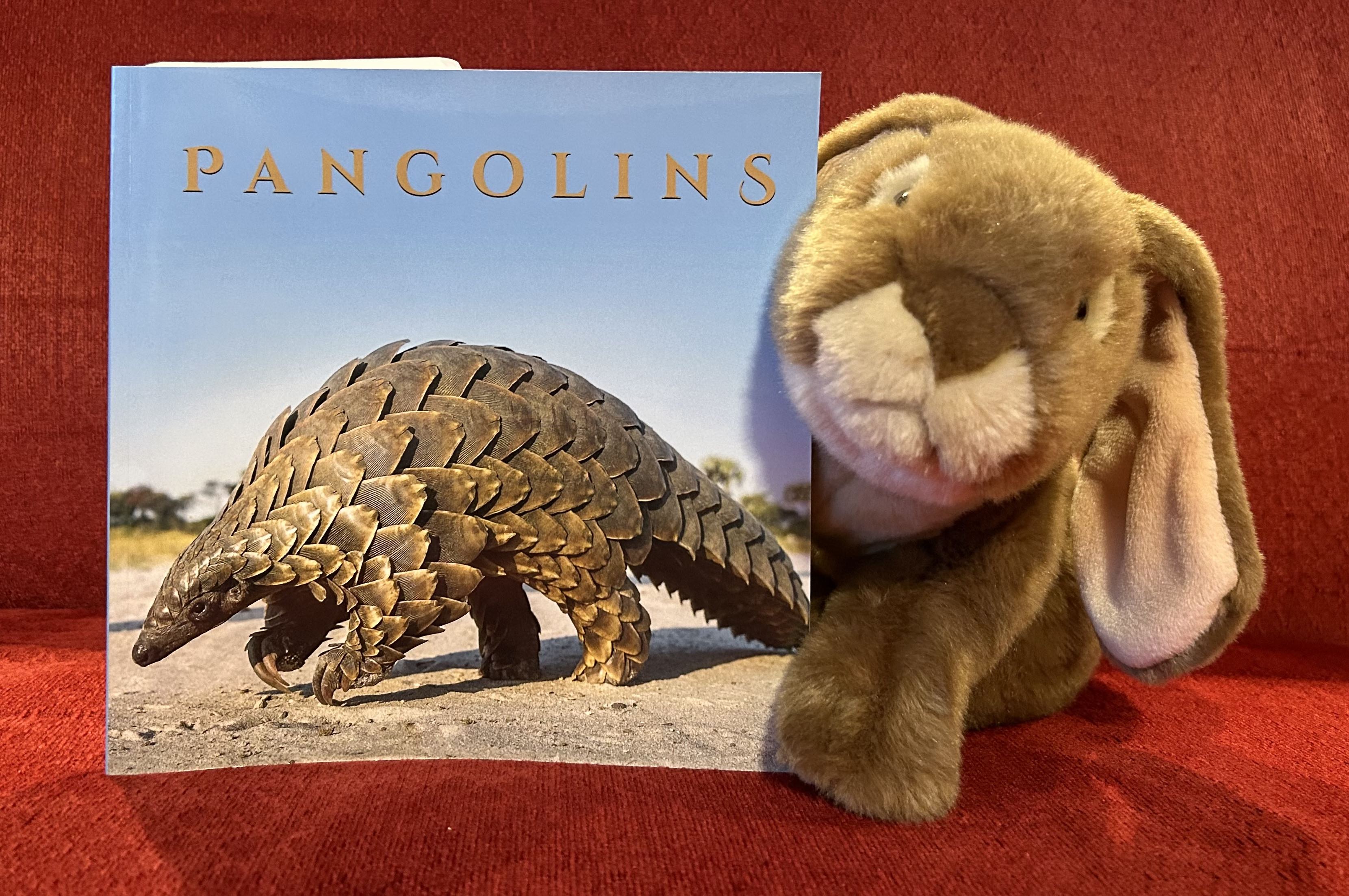 The Book Bunnies review the books of 2022 – BookBunnies