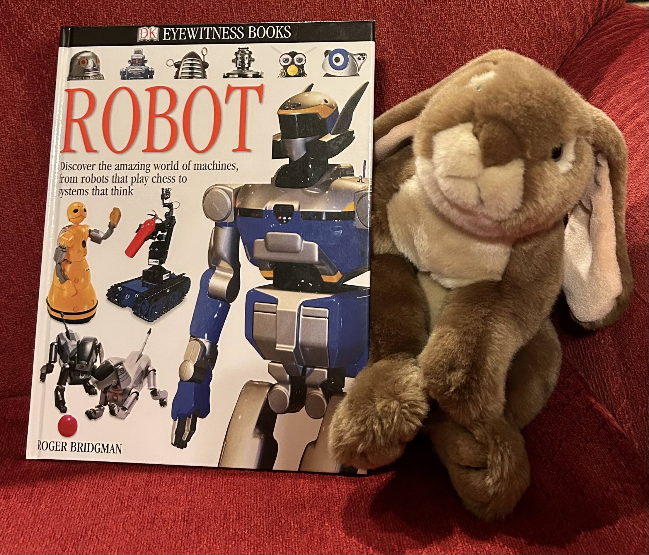The Book Bunnies review the books of 2022 – BookBunnies