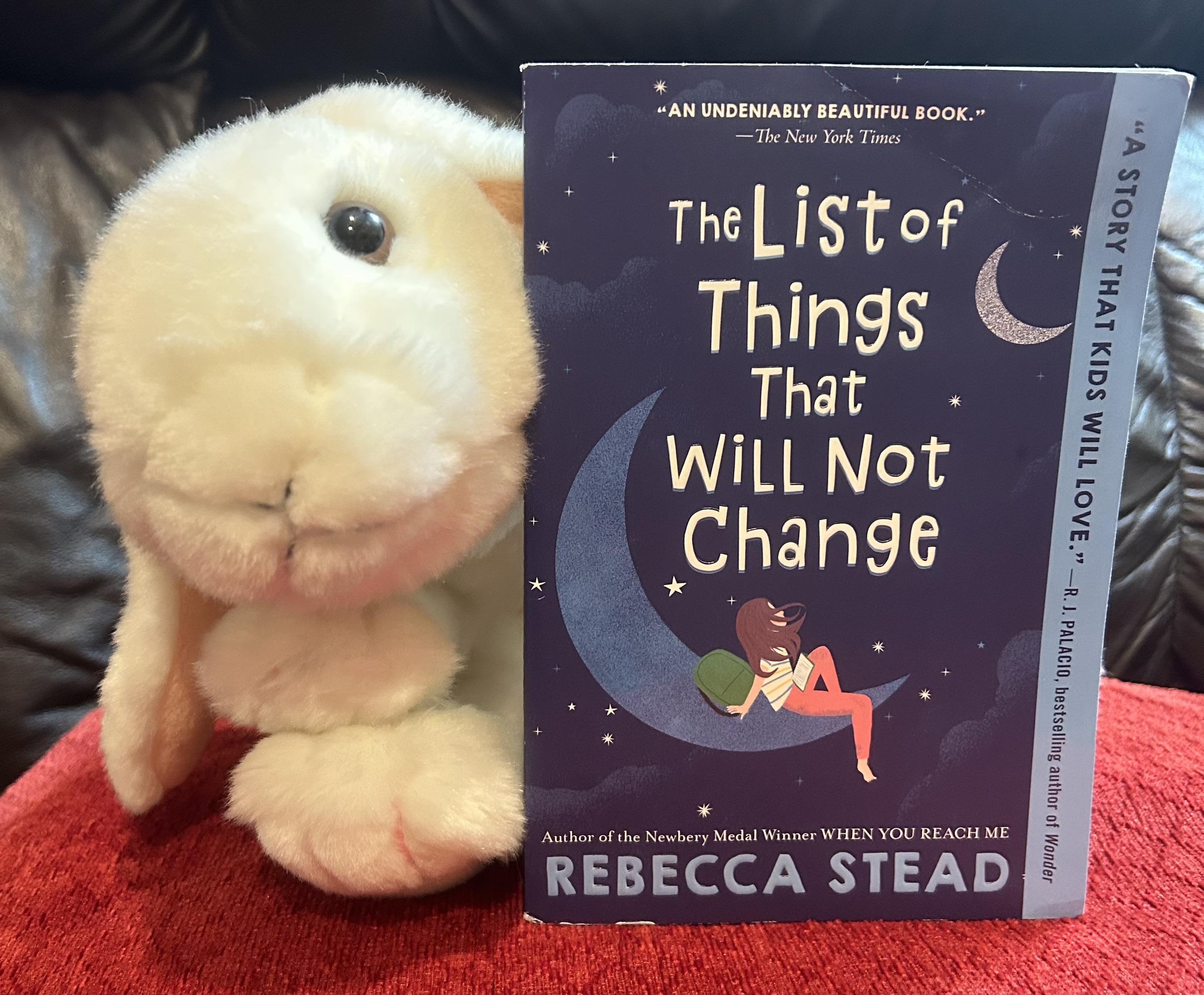 Marshmallow reviews The List of Things That Will Not Change by Rebecca ...