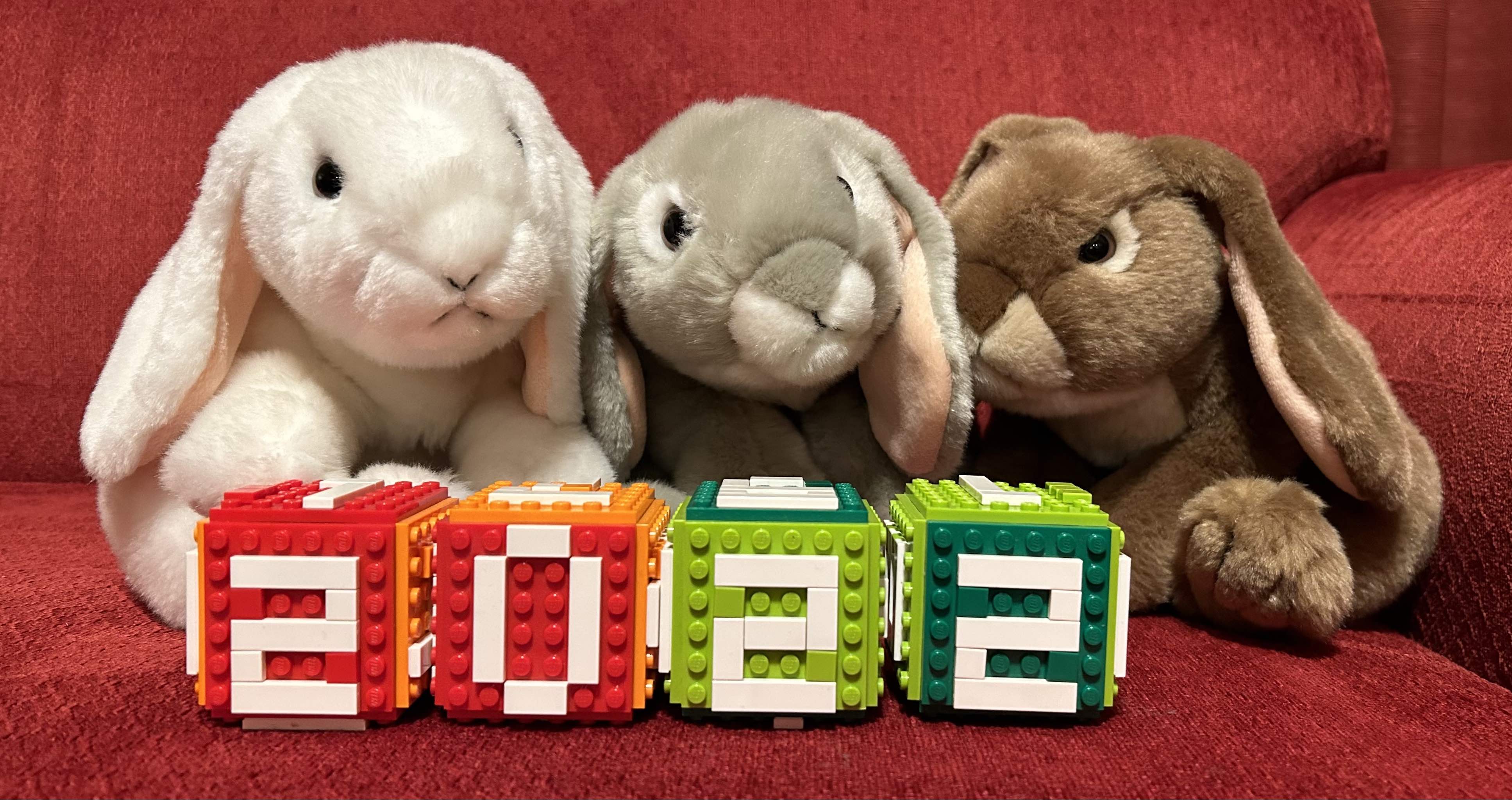 The Book Bunnies review the books of 2022 – BookBunnies