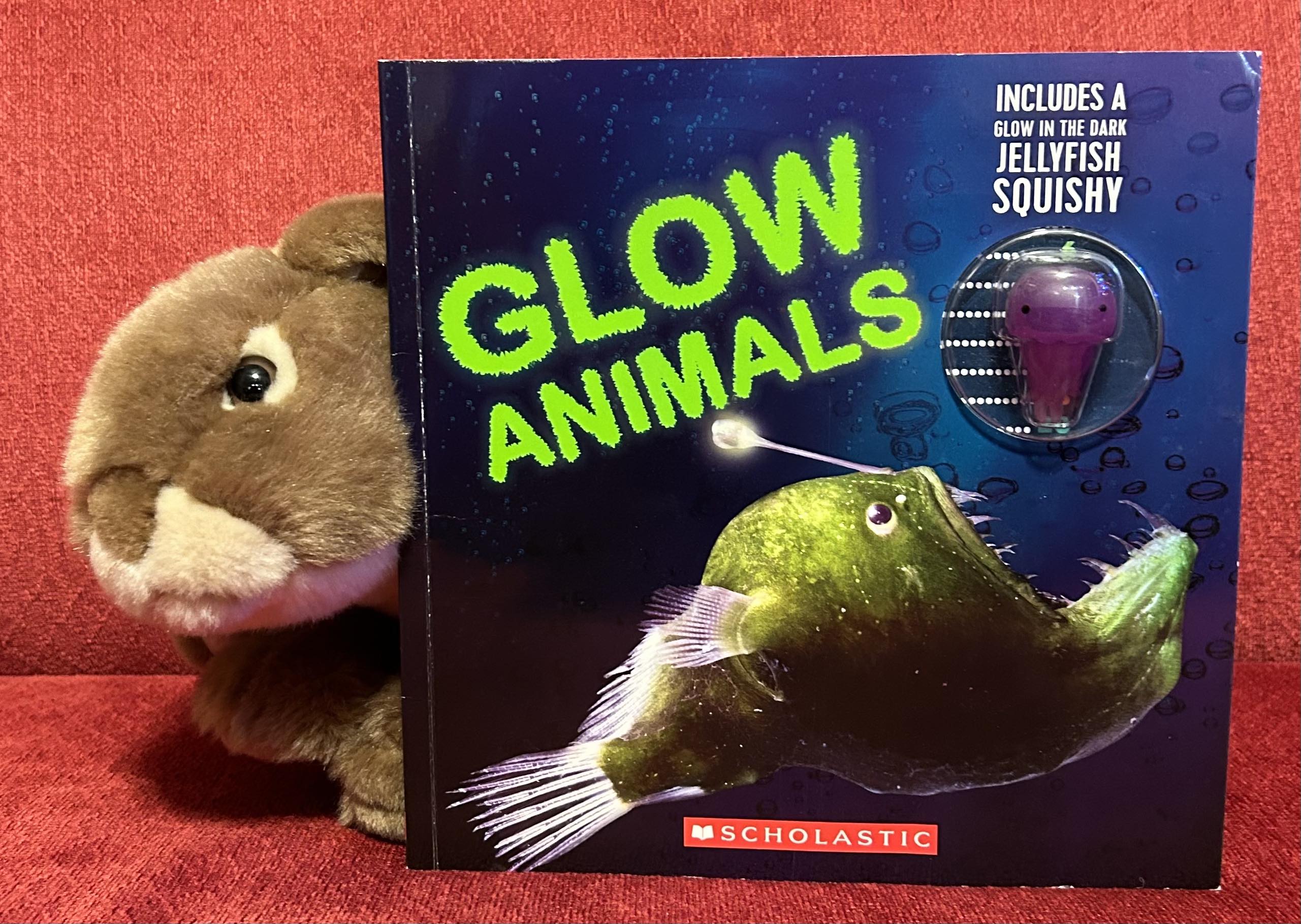 Caramel reviews Glow Animals by K.C. Kelley – BookBunnies