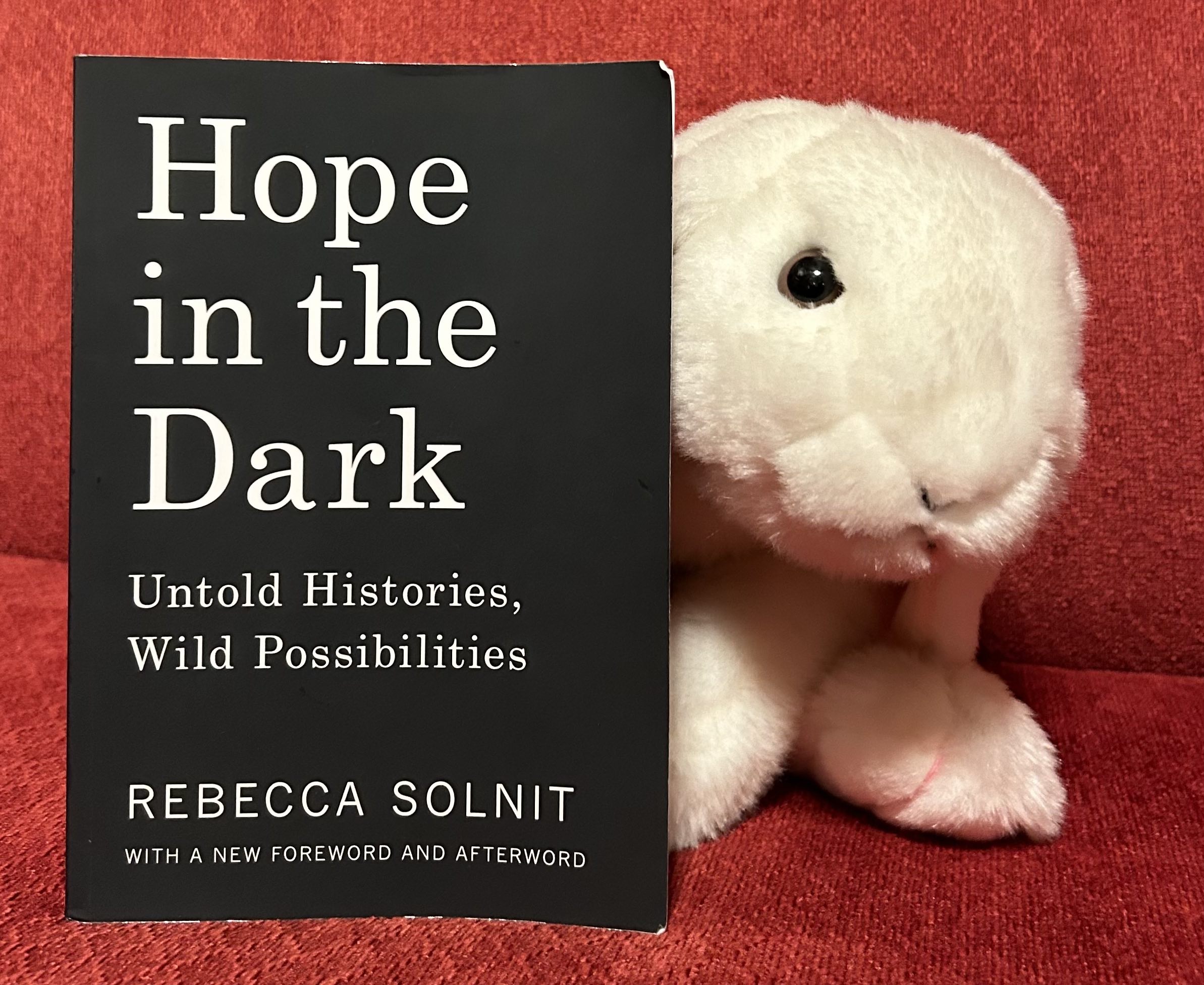 Marshmallow reviews Hope in the Dark by Rebecca Solnit – BookBunnies
