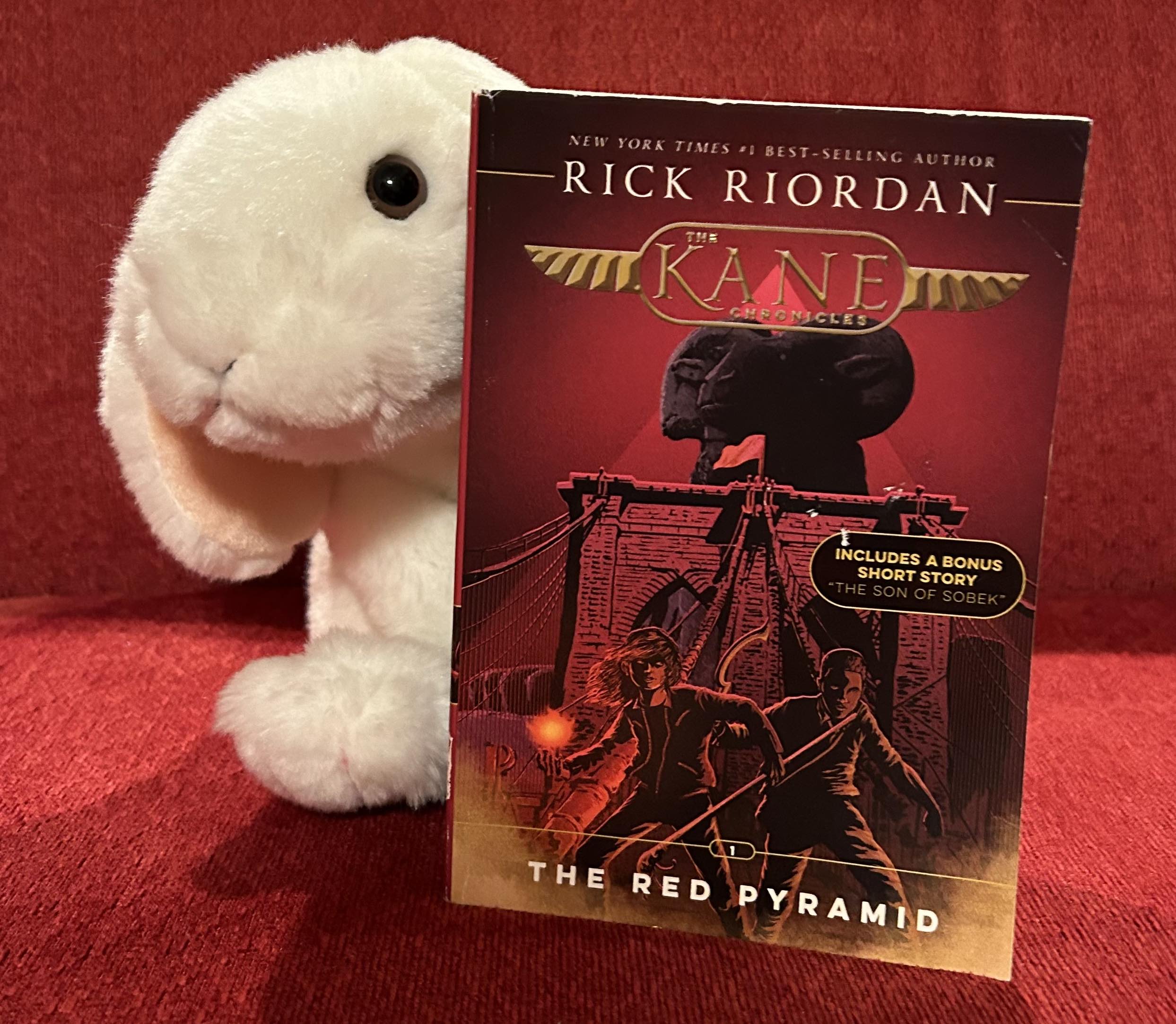 Marshmallow-RedPyramid-2 – BookBunnies