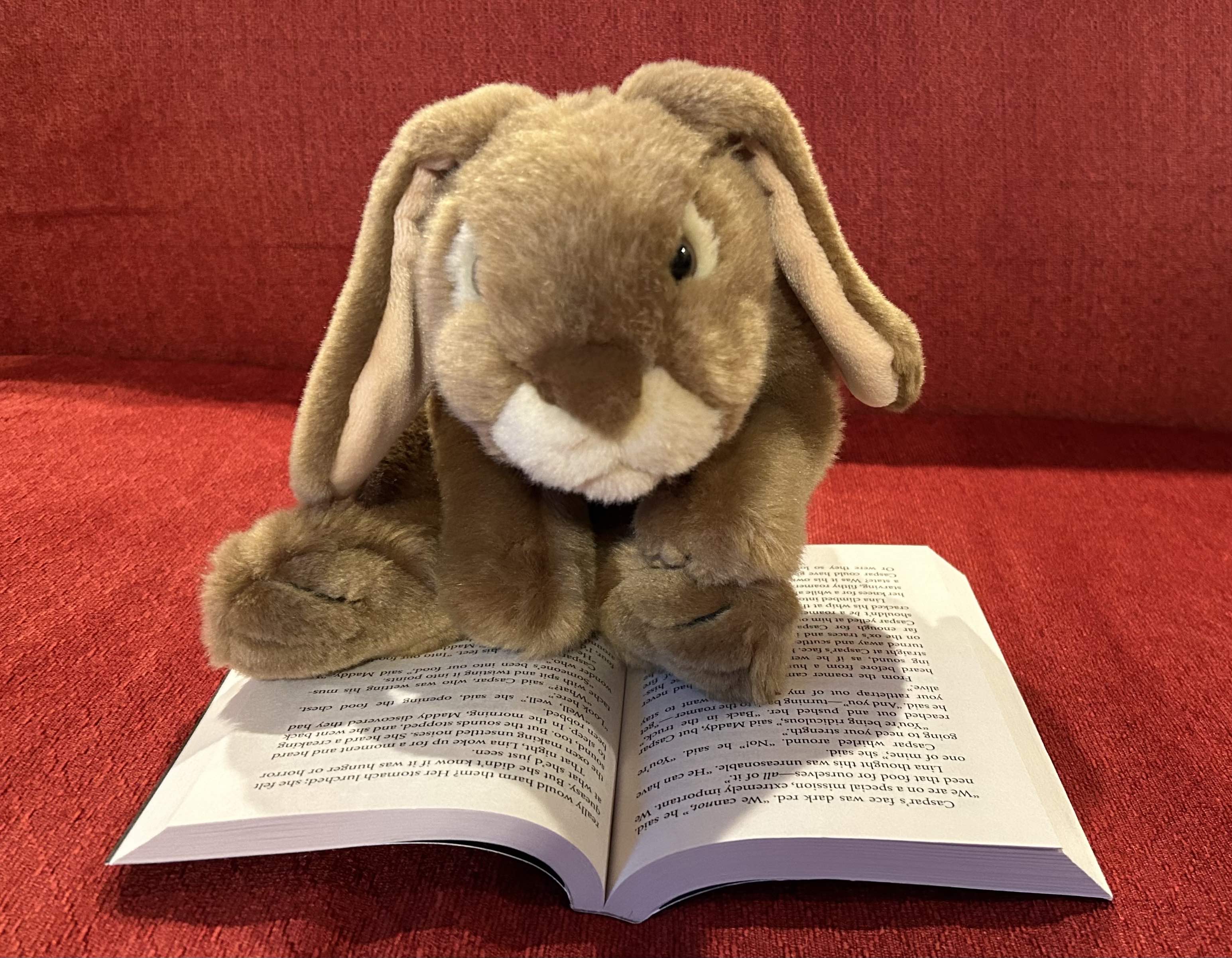 Caramel reviews The People of Sparks by Jeanne DuPrau – BookBunnies