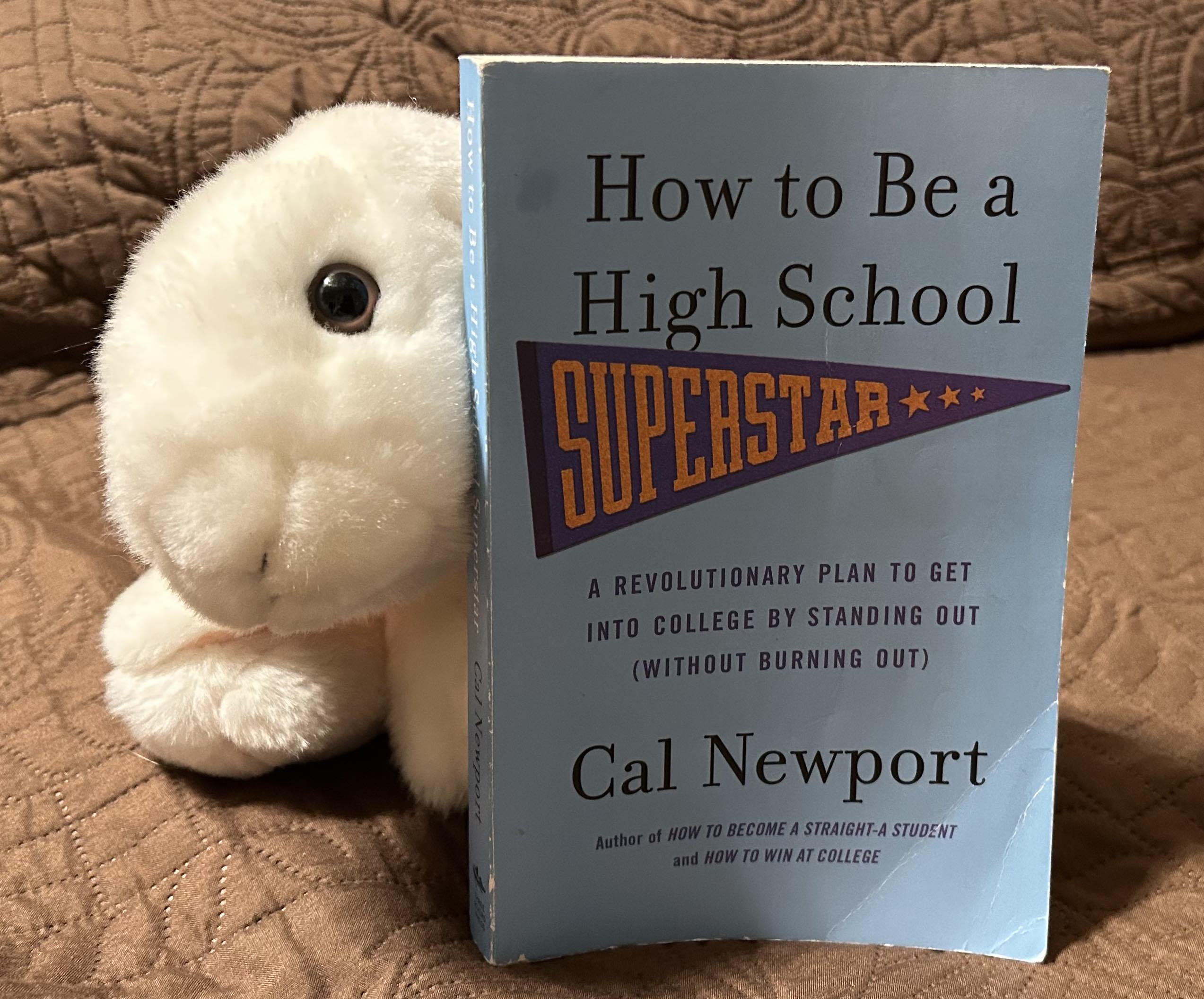 Marshmallow reviews How to Be a High School Superstar by Cal Newport ...