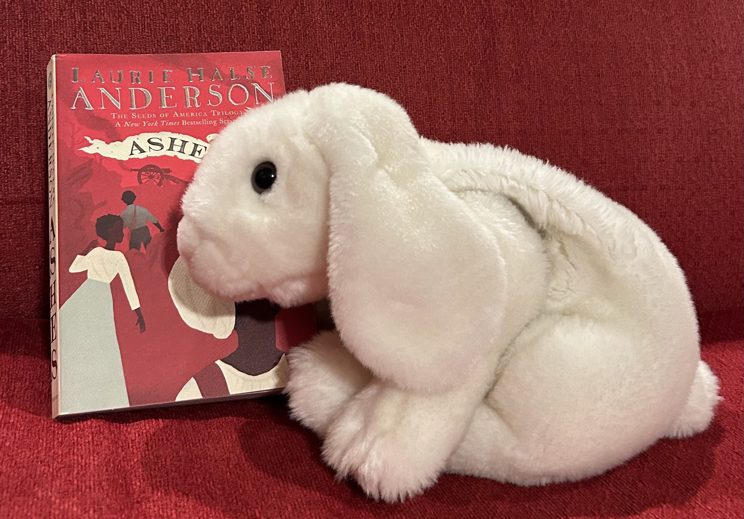 Marshmallow reviews Ashes by Laurie Halse Anderson – BookBunnies