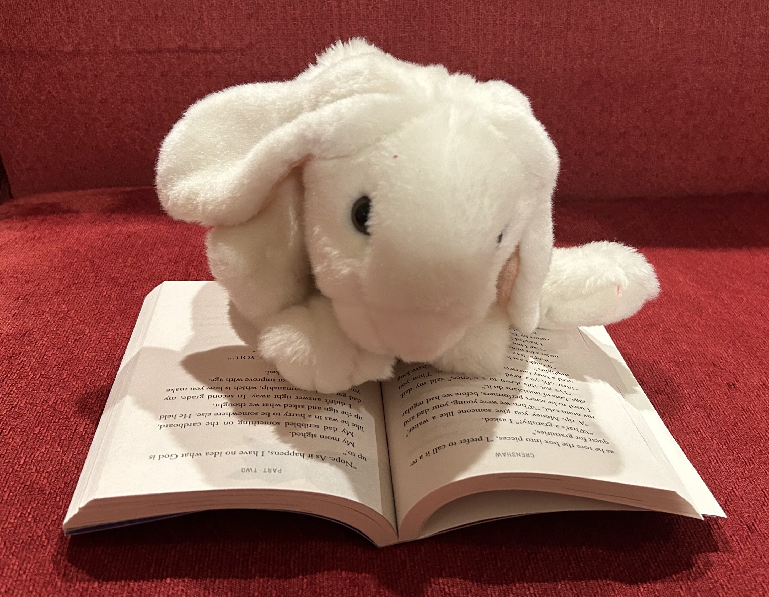 Marshmallow reviews Crenshaw by Katherine Applegate – BookBunnies