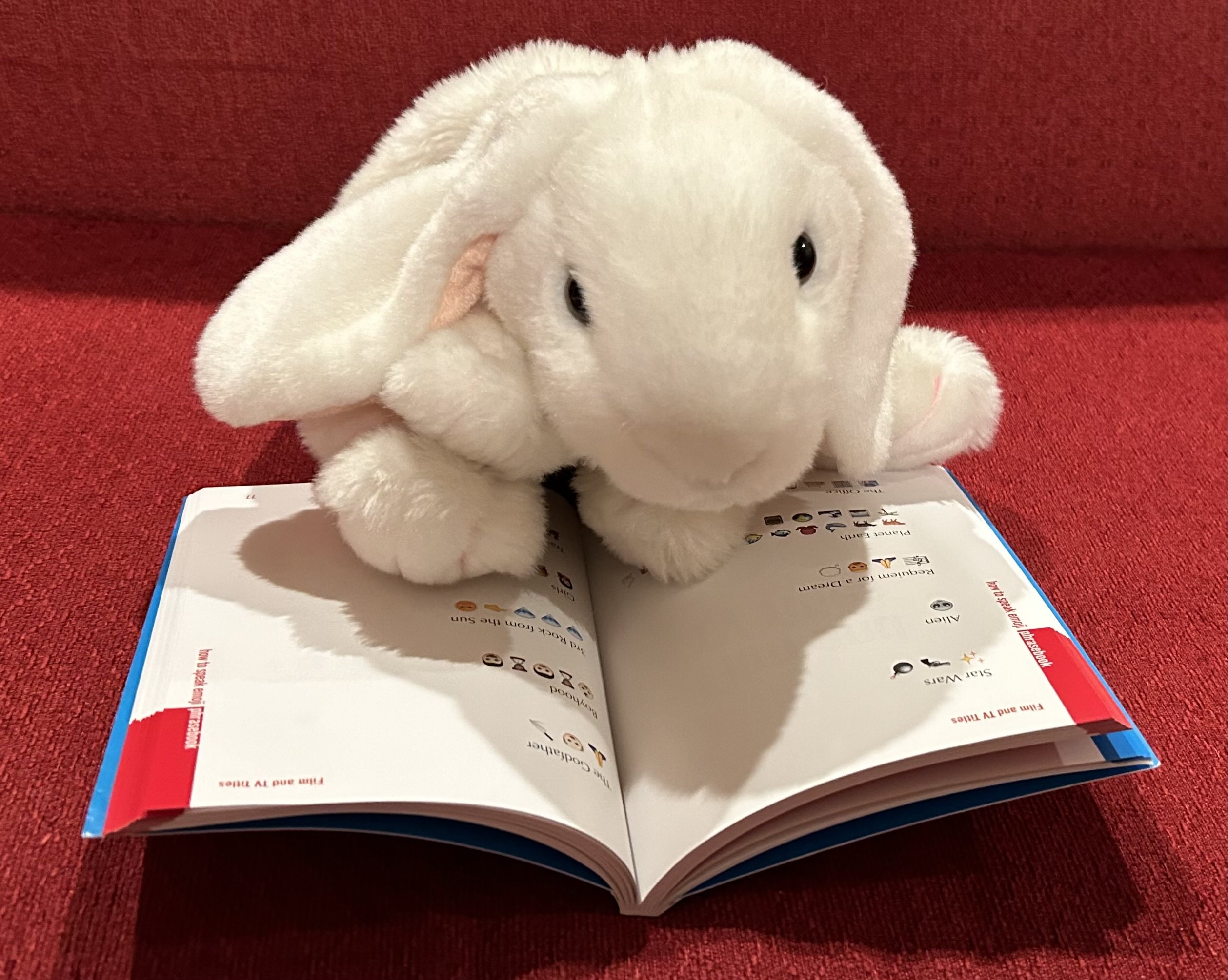 Marshmallow reviews How to Speak Emoji by Fred Benenson – BookBunnies