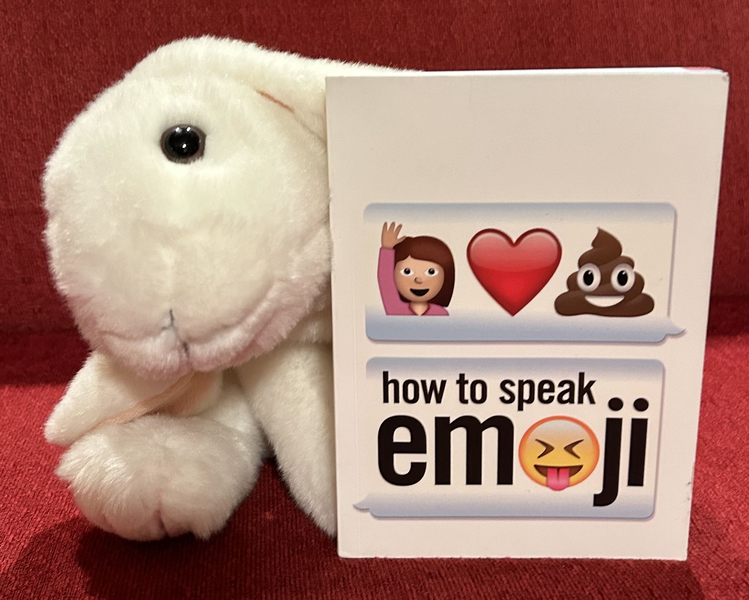 Marshmallow reviews How to Speak Emoji by Fred Benenson – BookBunnies