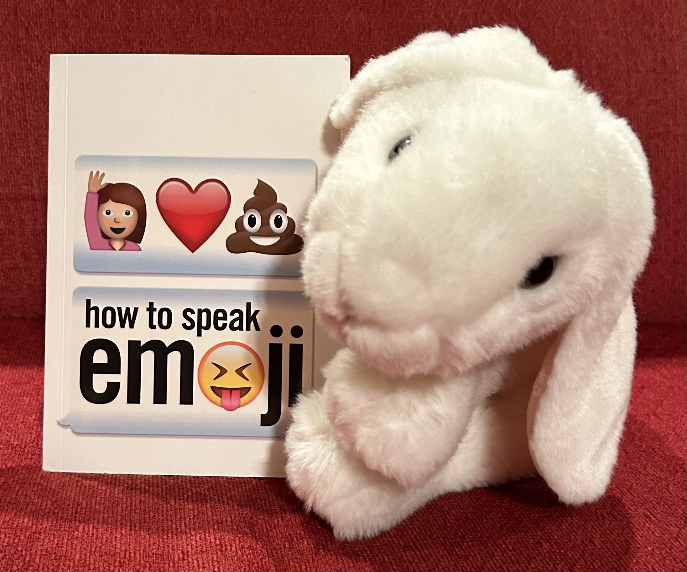 Marshmallow reviews How to Speak Emoji by Fred Benenson – BookBunnies