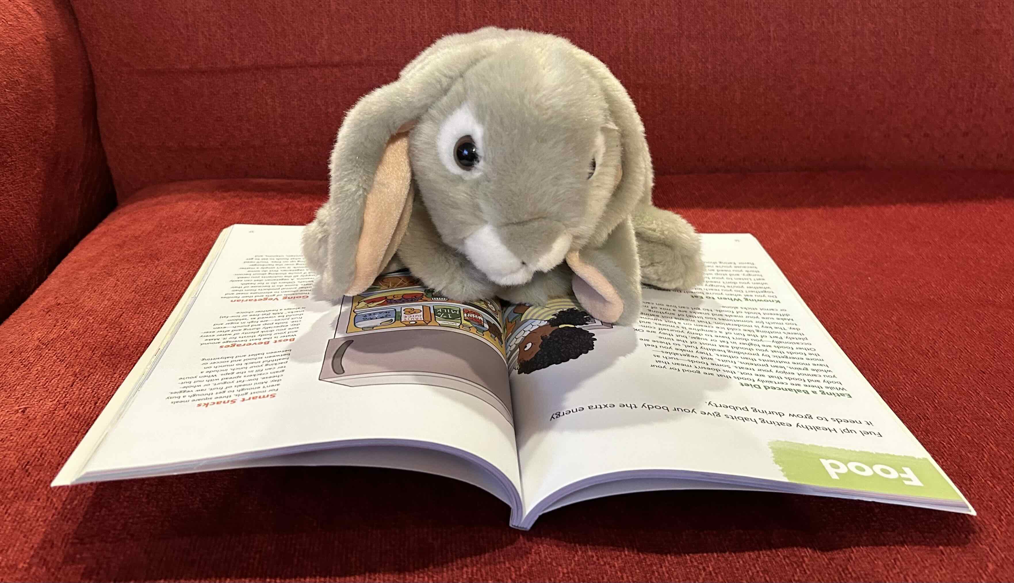 Sprinkles reviews children’s books about puberty – for girls – BookBunnies