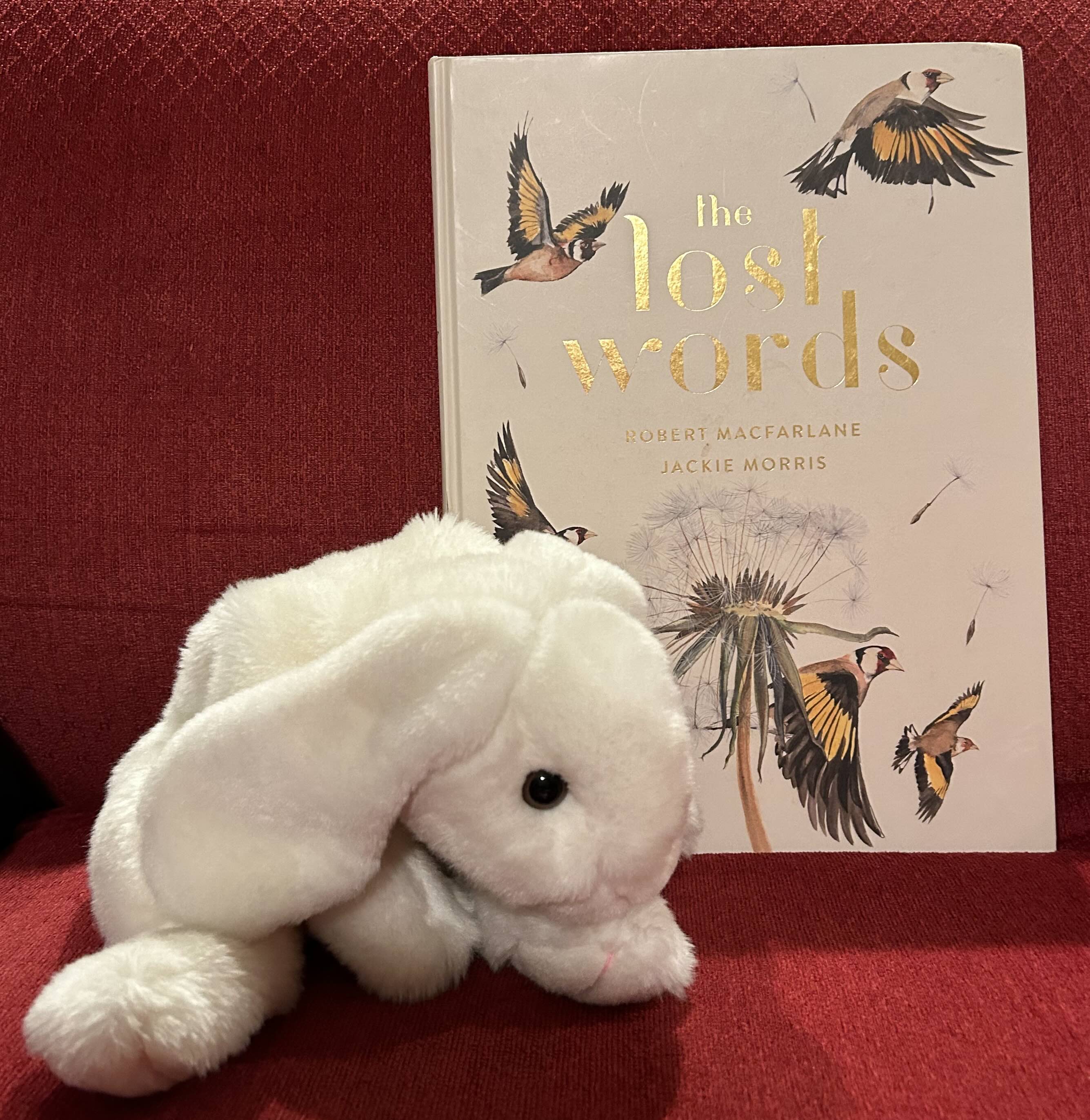 Marshmallow reviews The Lost Words: A Spell Book by Robert Macfarlane ...