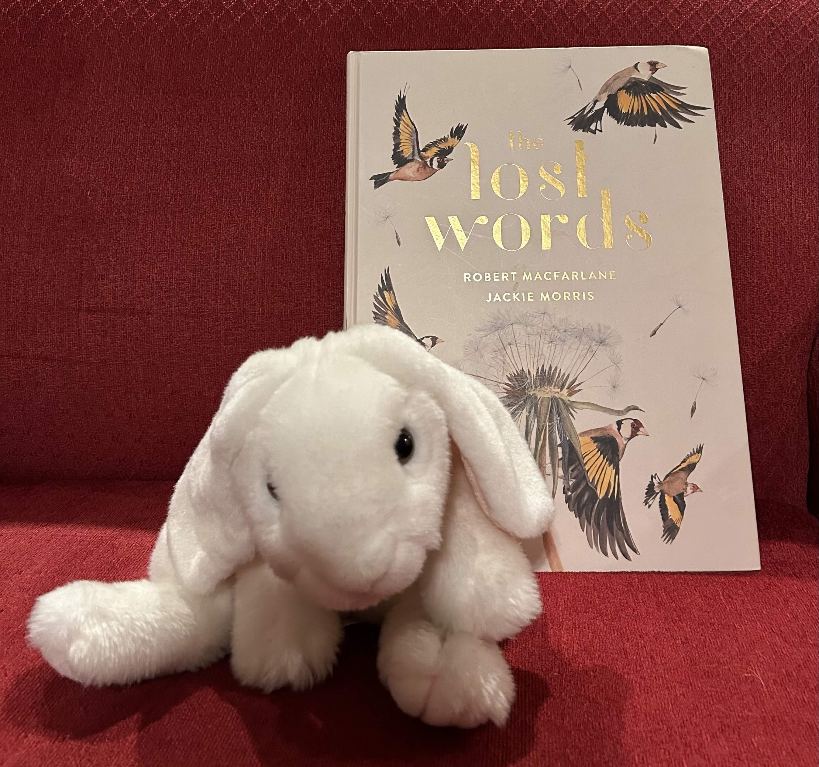 Marshmallow reviews The Lost Words: A Spell Book by Robert Macfarlane ...