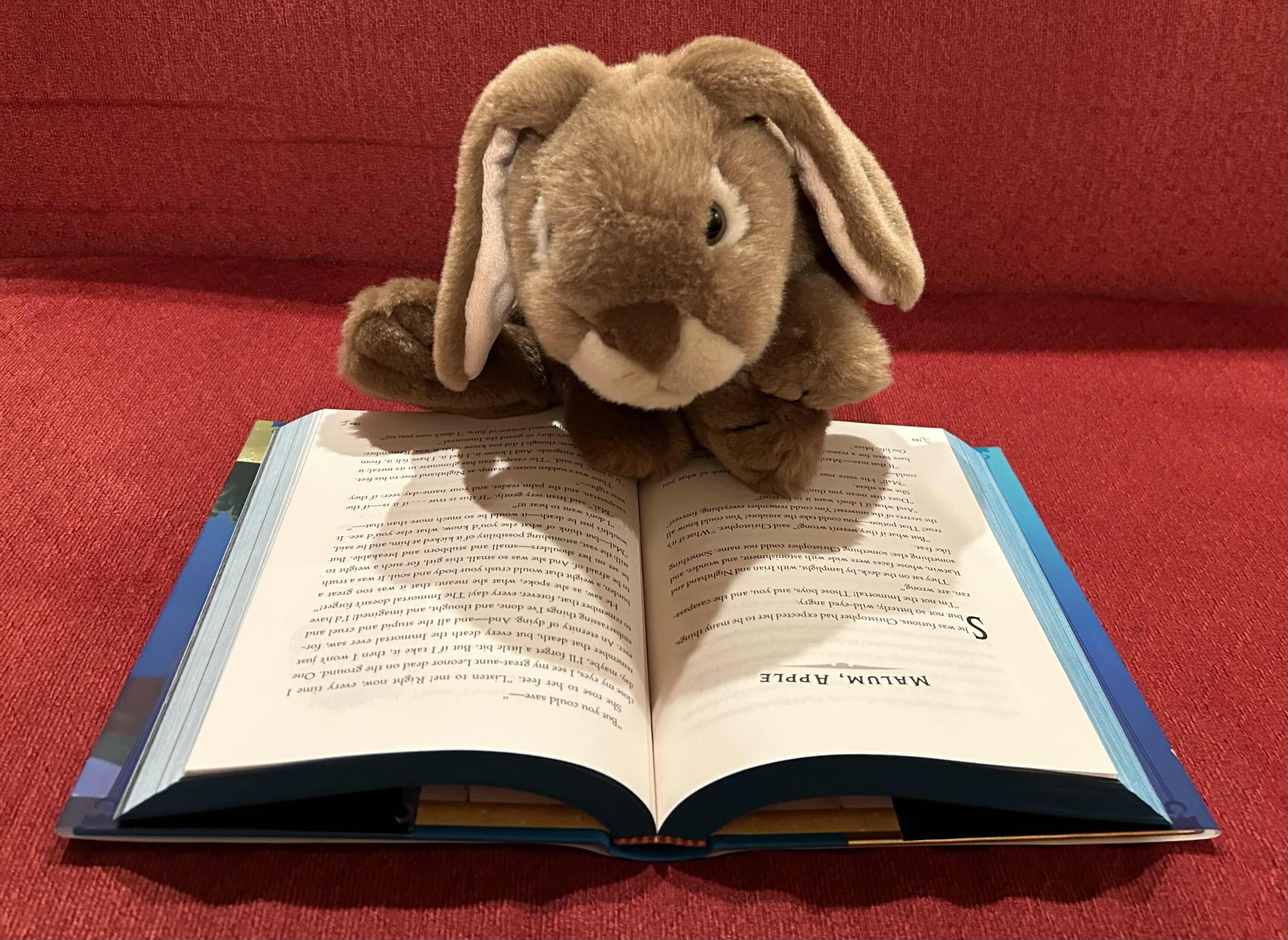 Caramel reviews Impossible Creatures by Katherine Rundell – BookBunnies
