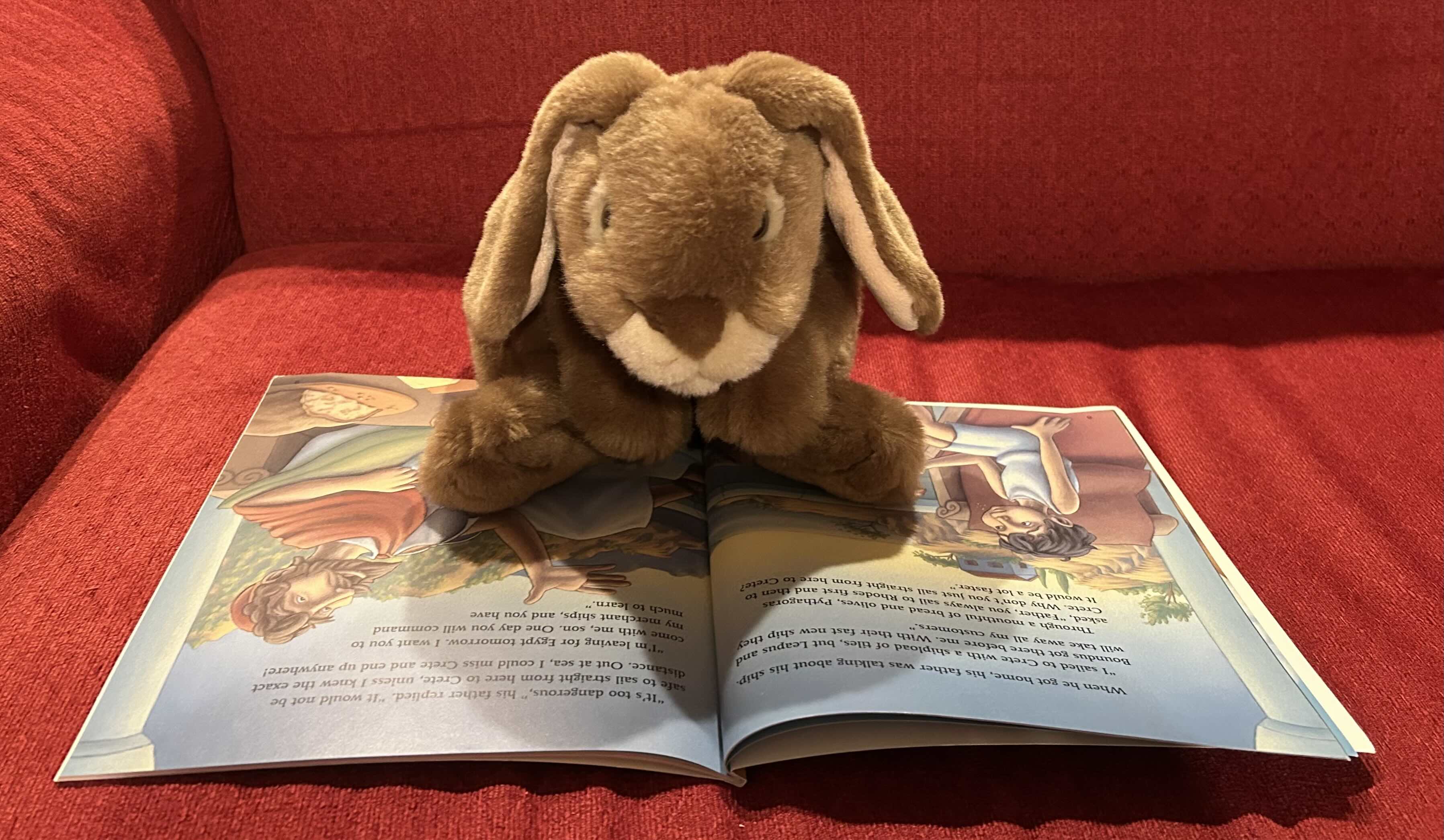 Caramel reviews What’s Your Angle, Pythagoras? by Julie Ellis – BookBunnies