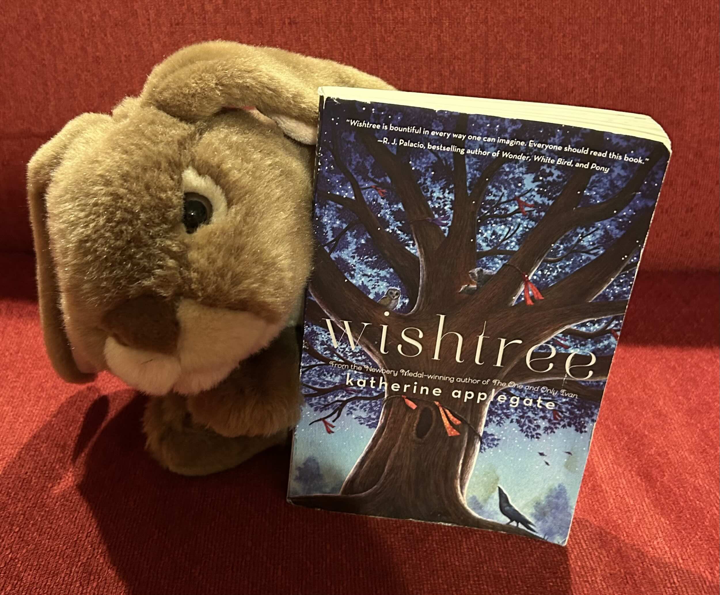 Caramel reviews Wishtree by Katherine Applegate – BookBunnies