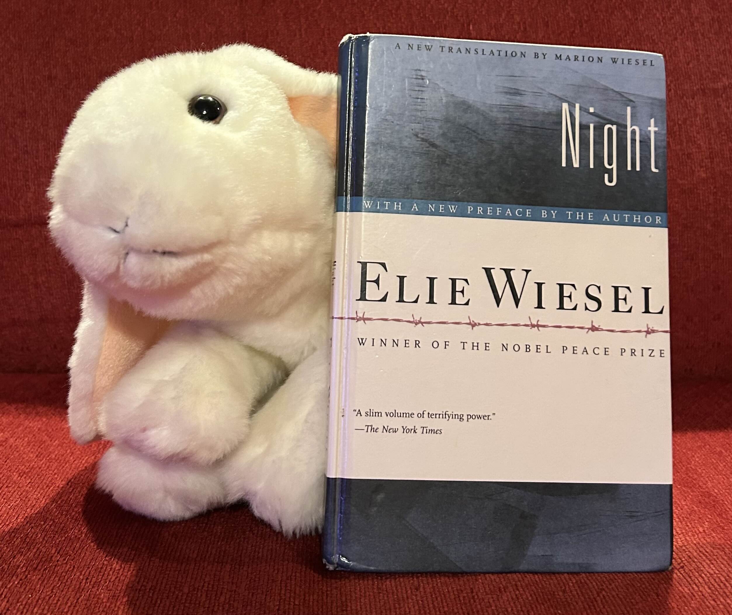 Marshmallow reviews Night by Elie Wiesel – BookBunnies