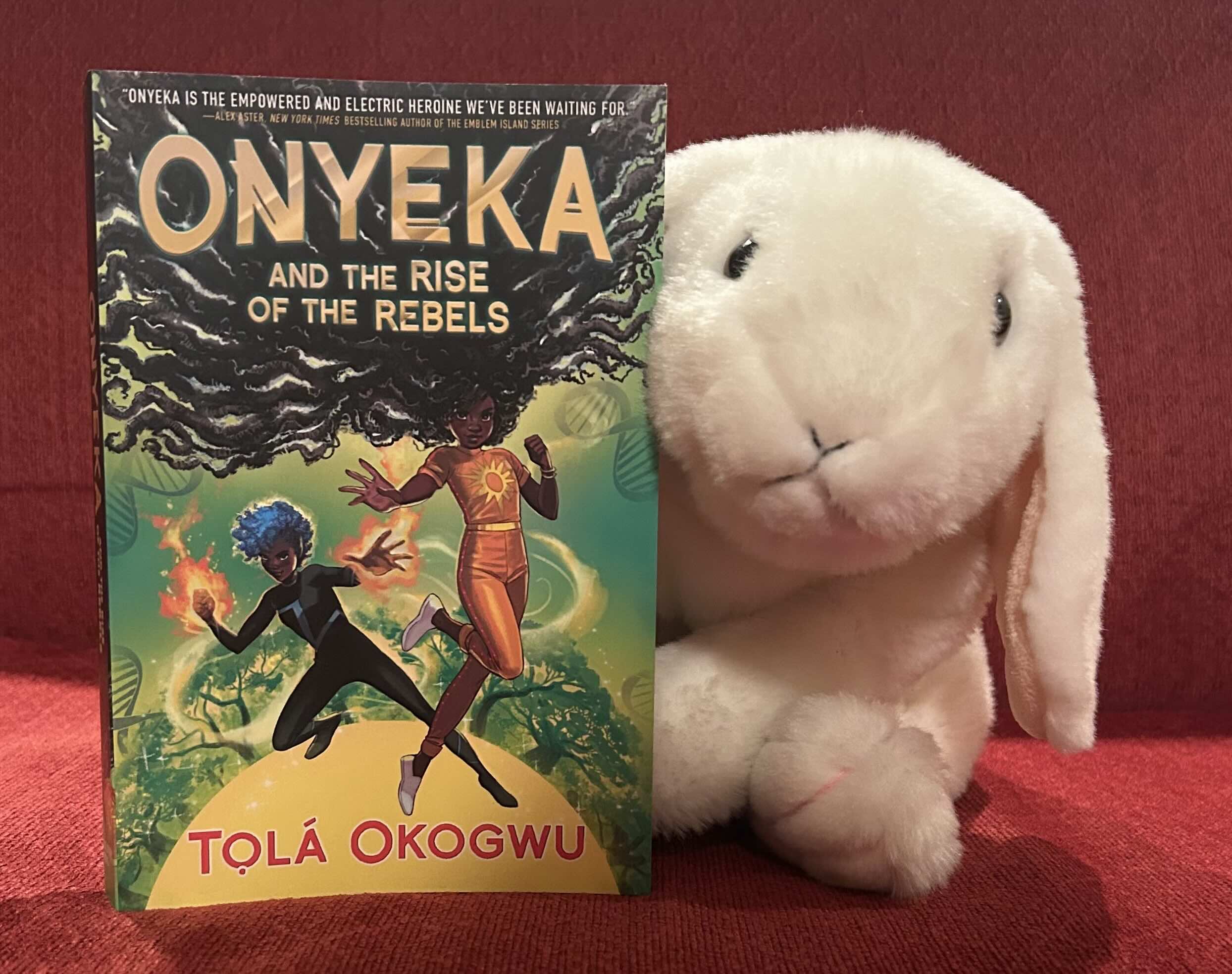 Marshmallow reviews Onyeka and the Rise of the Rebels by Tọlá Okogwu ...