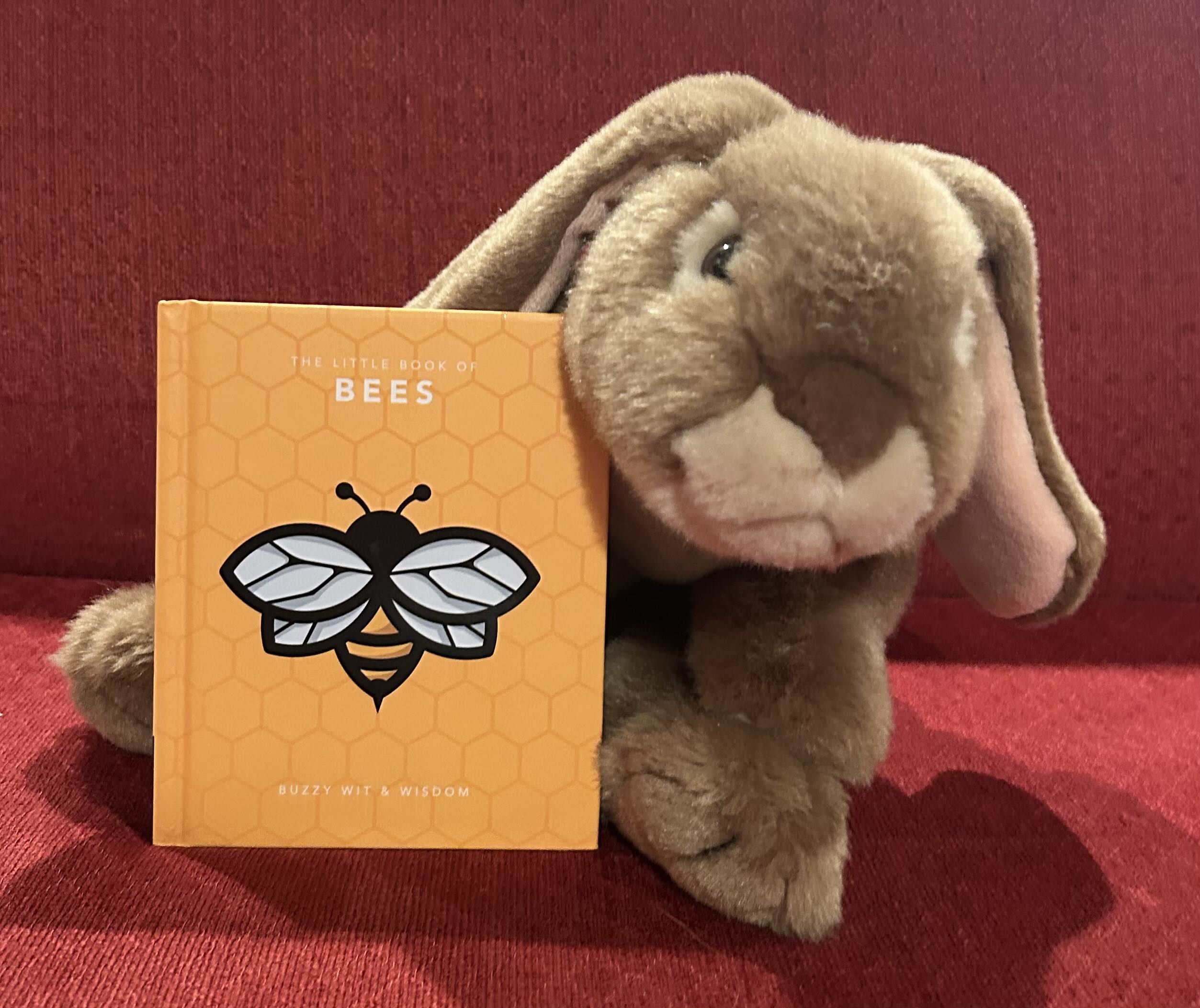 Caramel reviews The Little Book of Bees: Buzzy Wit and Wisdom by Sandra ...