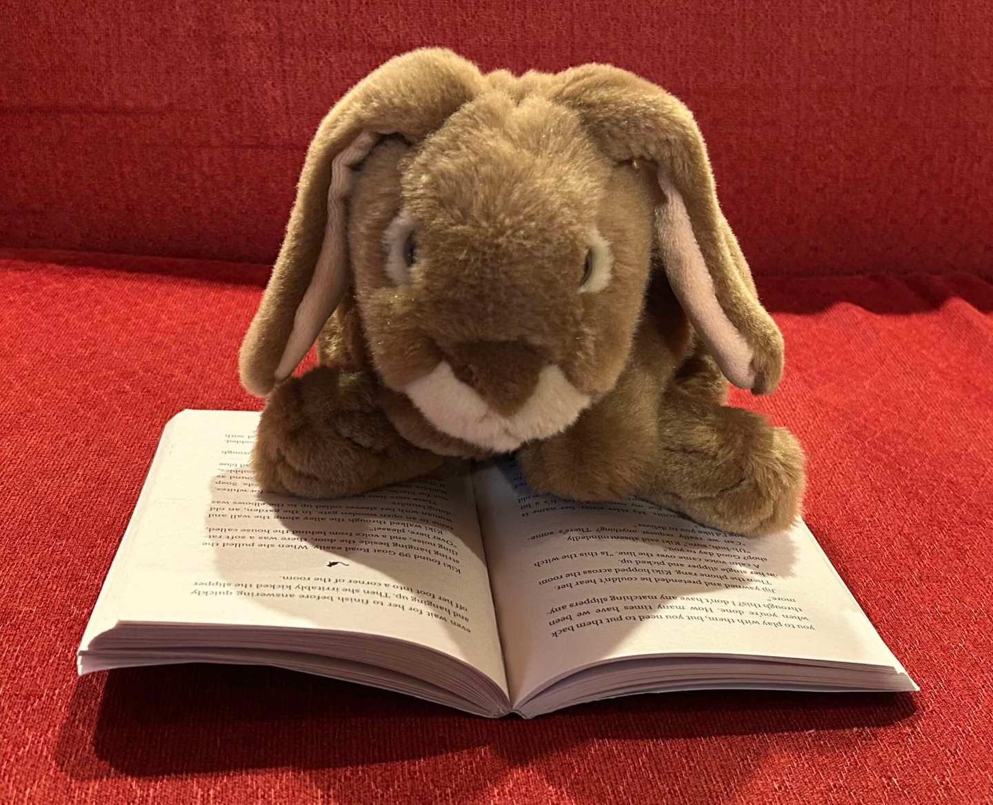 Emily Balistrieri – BookBunnies