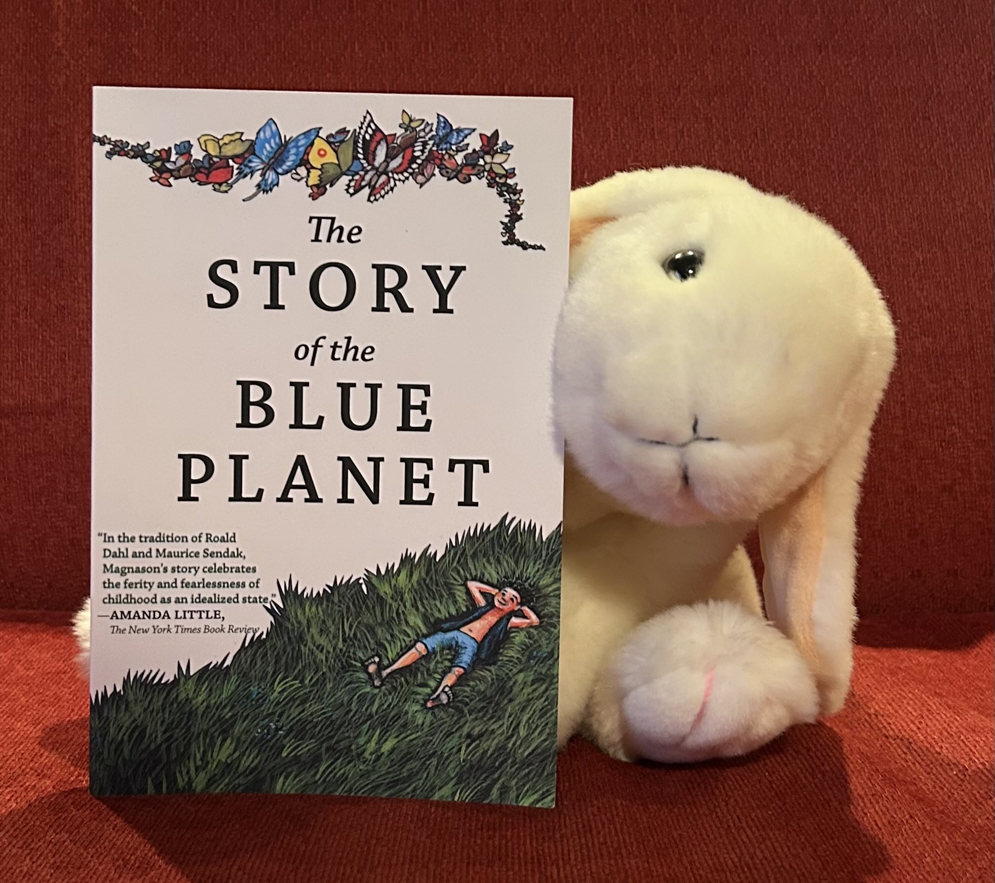 Marshmallow reviews The Story of the Blue Planet by Andri Snær Magnason ...