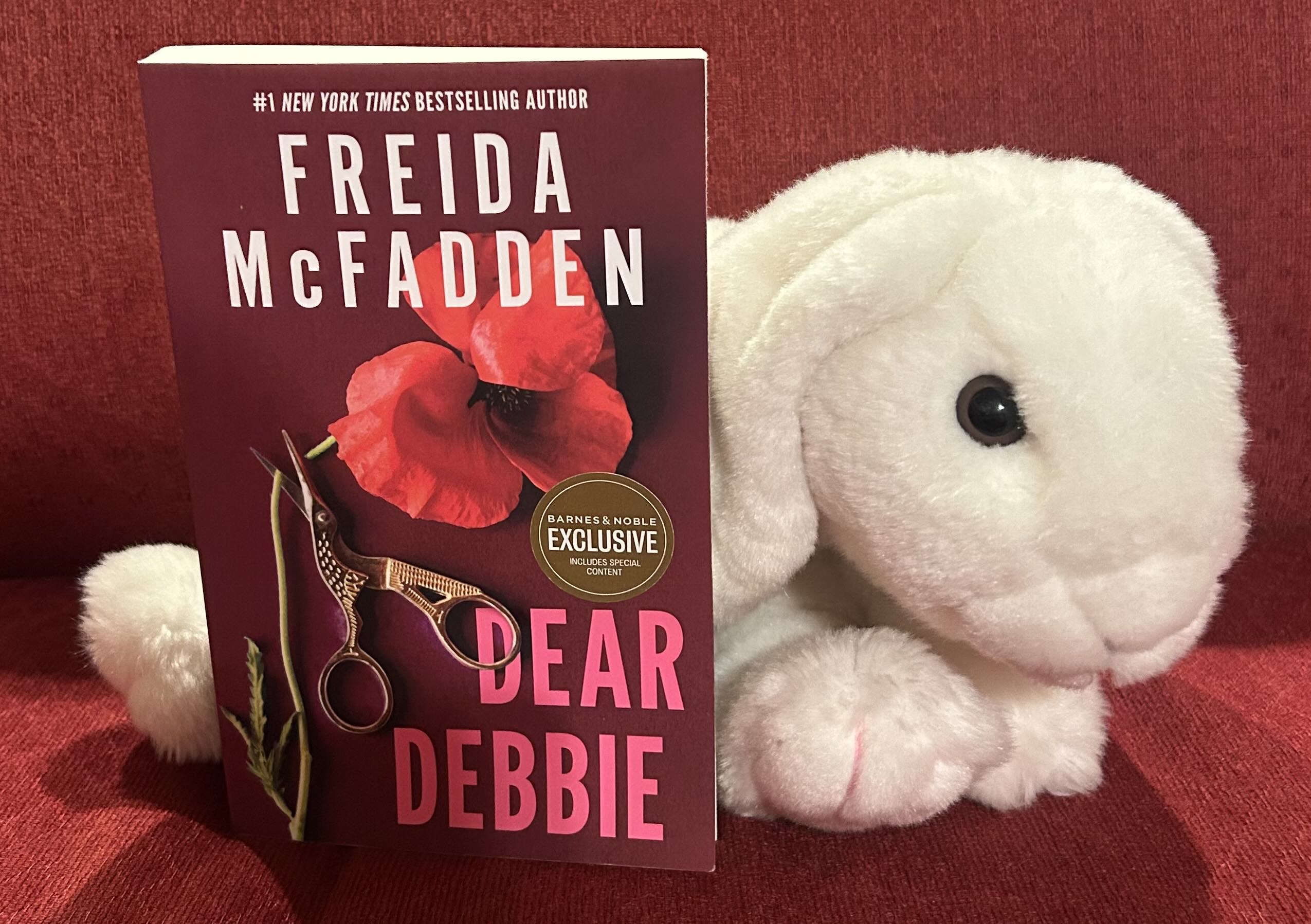 Marshmallow reviews Dear Debbie by Freida McFadden – BookBunnies